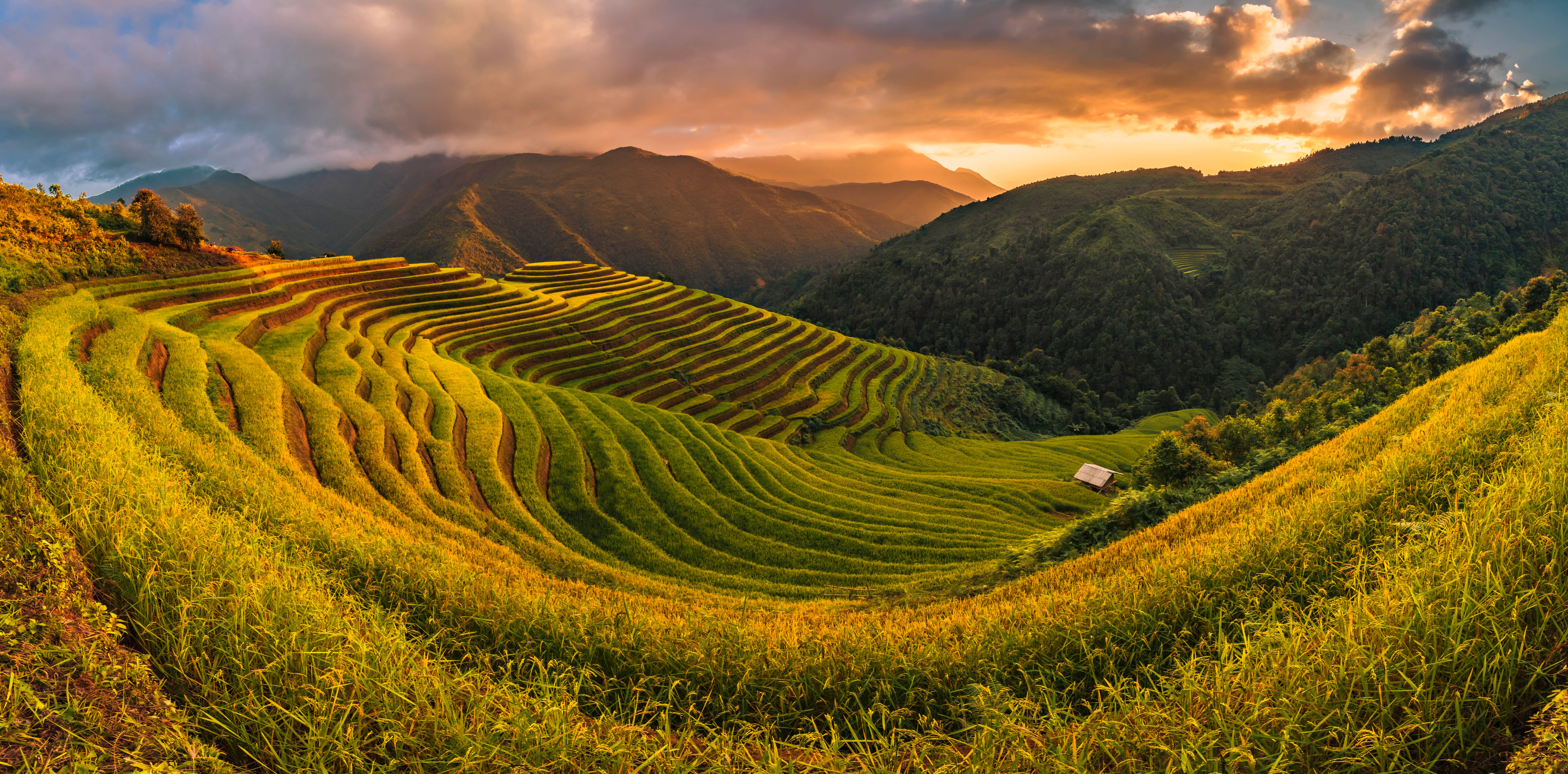 Stunning Rice Terraces at Sunset in Vietnam · Free Stock Photo