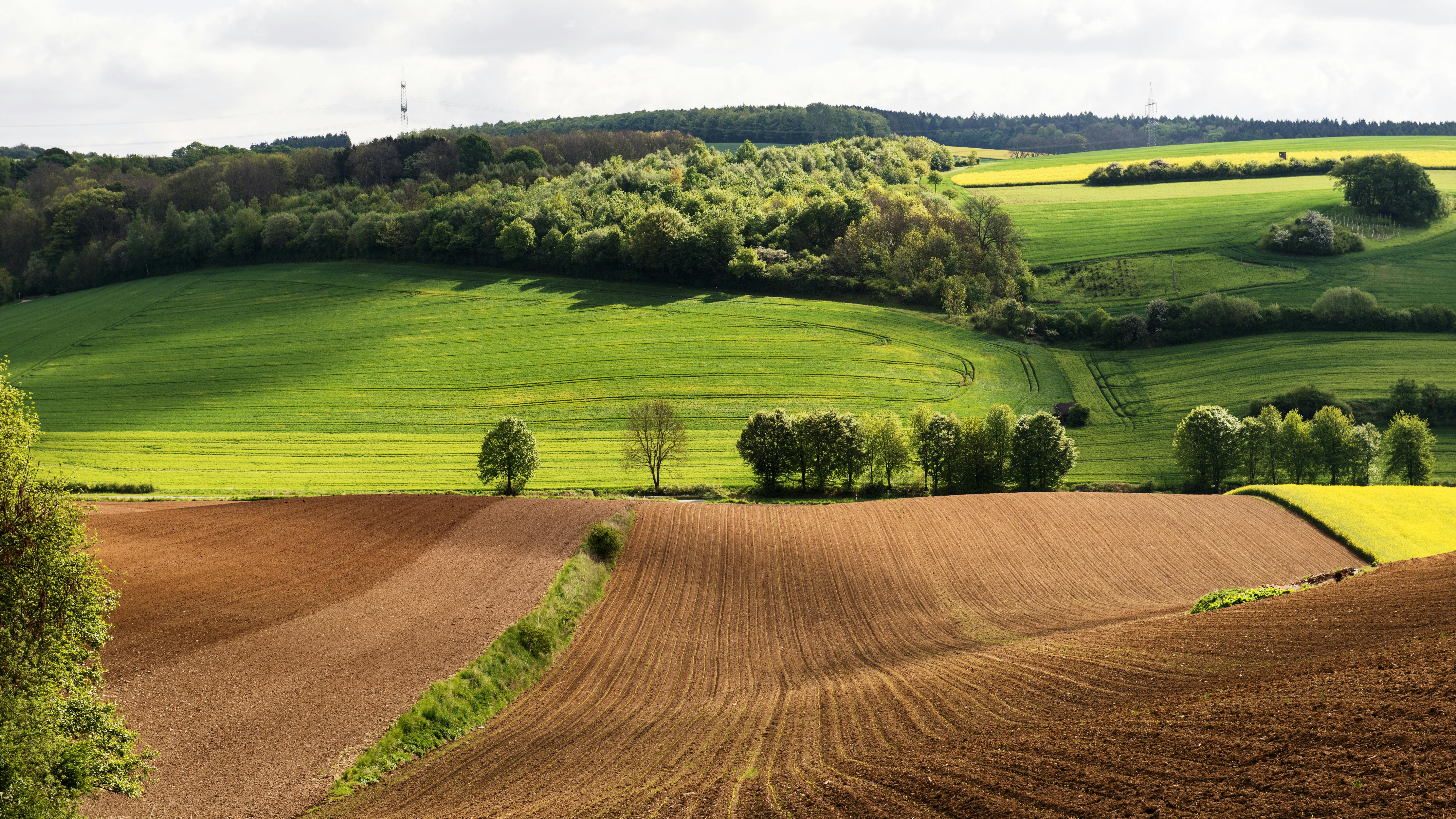 Non Burnable Photos, Download The BEST Free Non Burnable Stock Photos ...