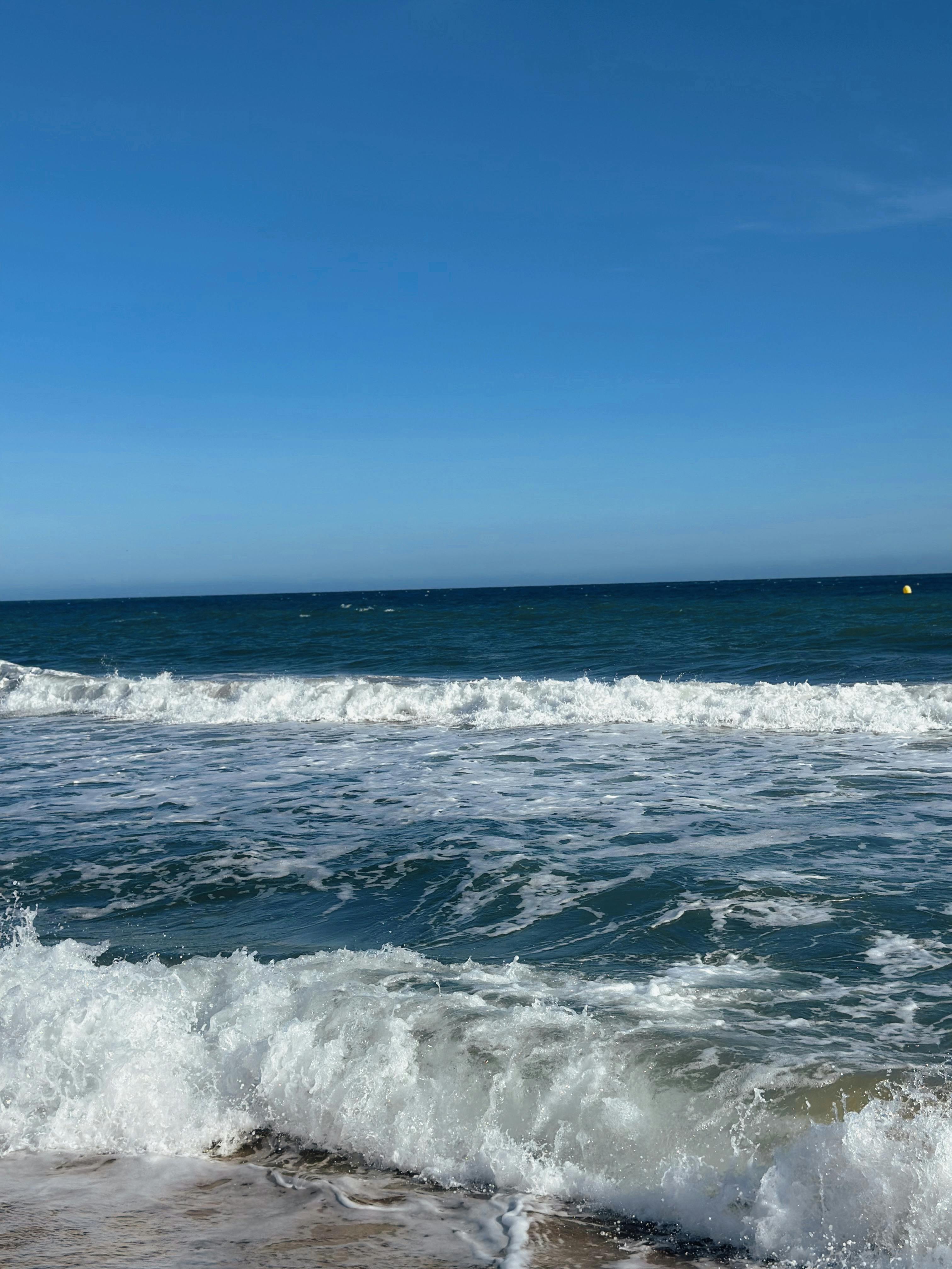 Ruxanda Photography - Photography