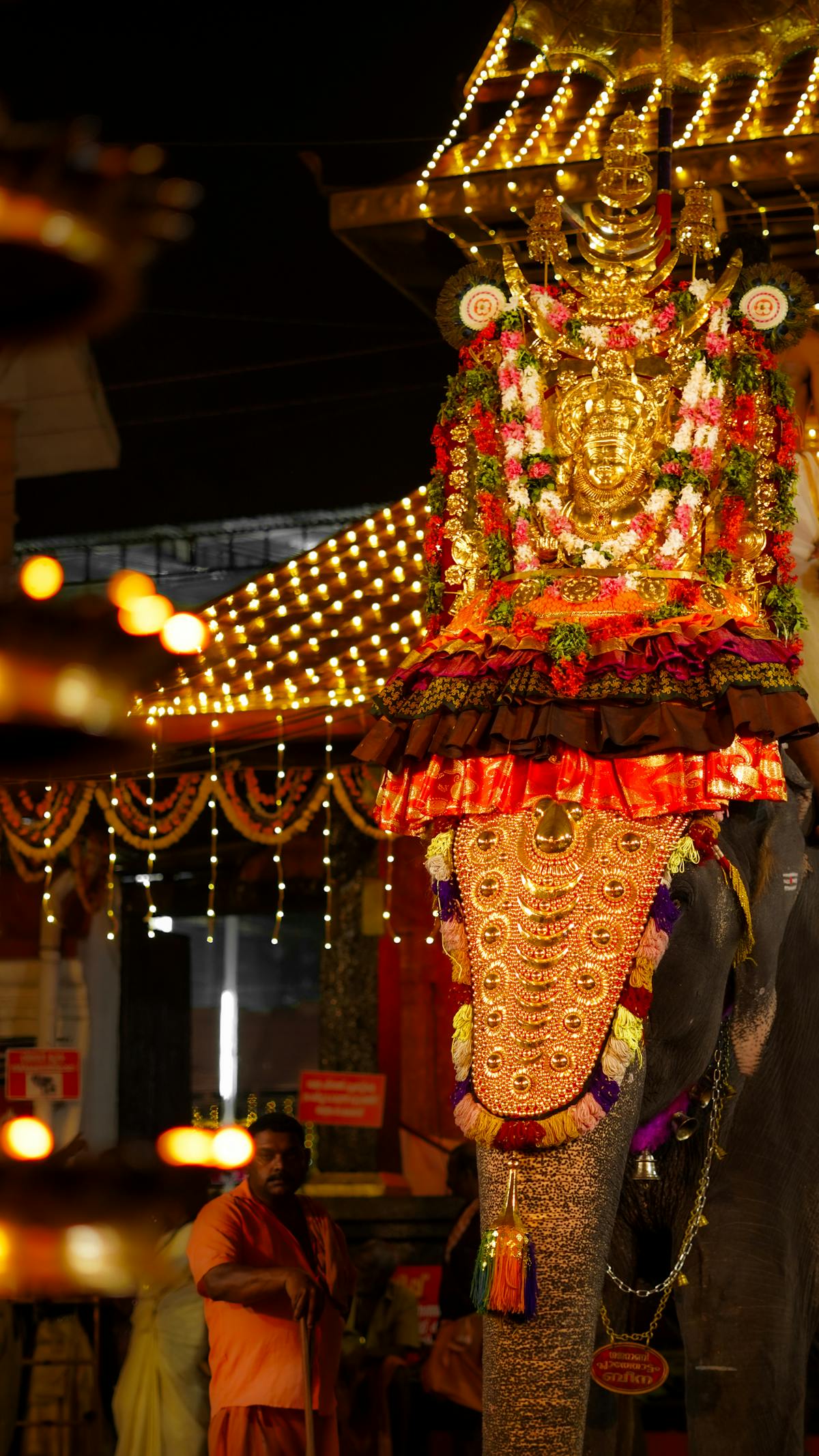 Indian+Inc Photos, Download The BEST Free Indian+Inc Stock Photos & HD ...