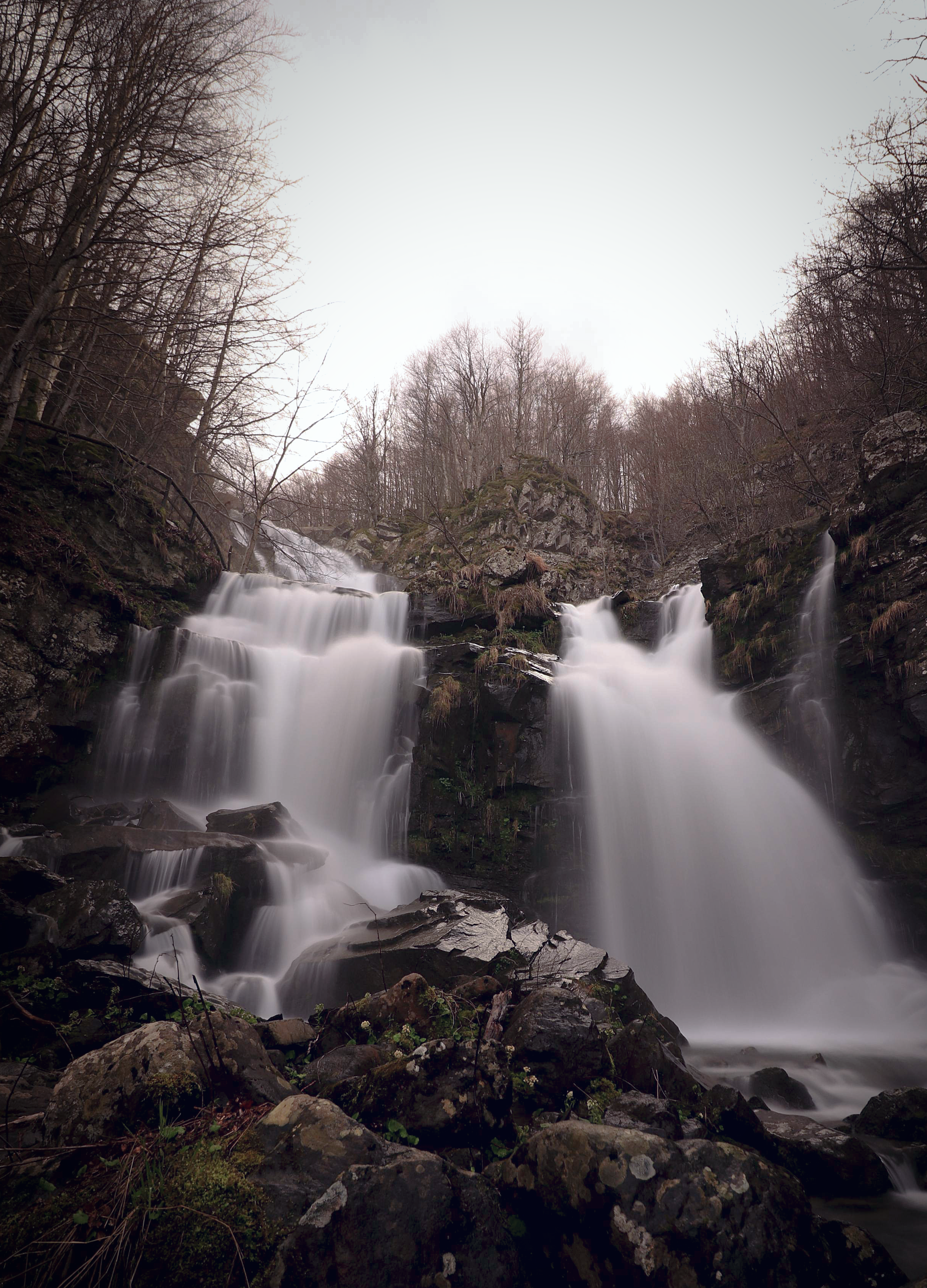 Majestic Waterfall in Serene Forest Setting · Free Stock Photo
