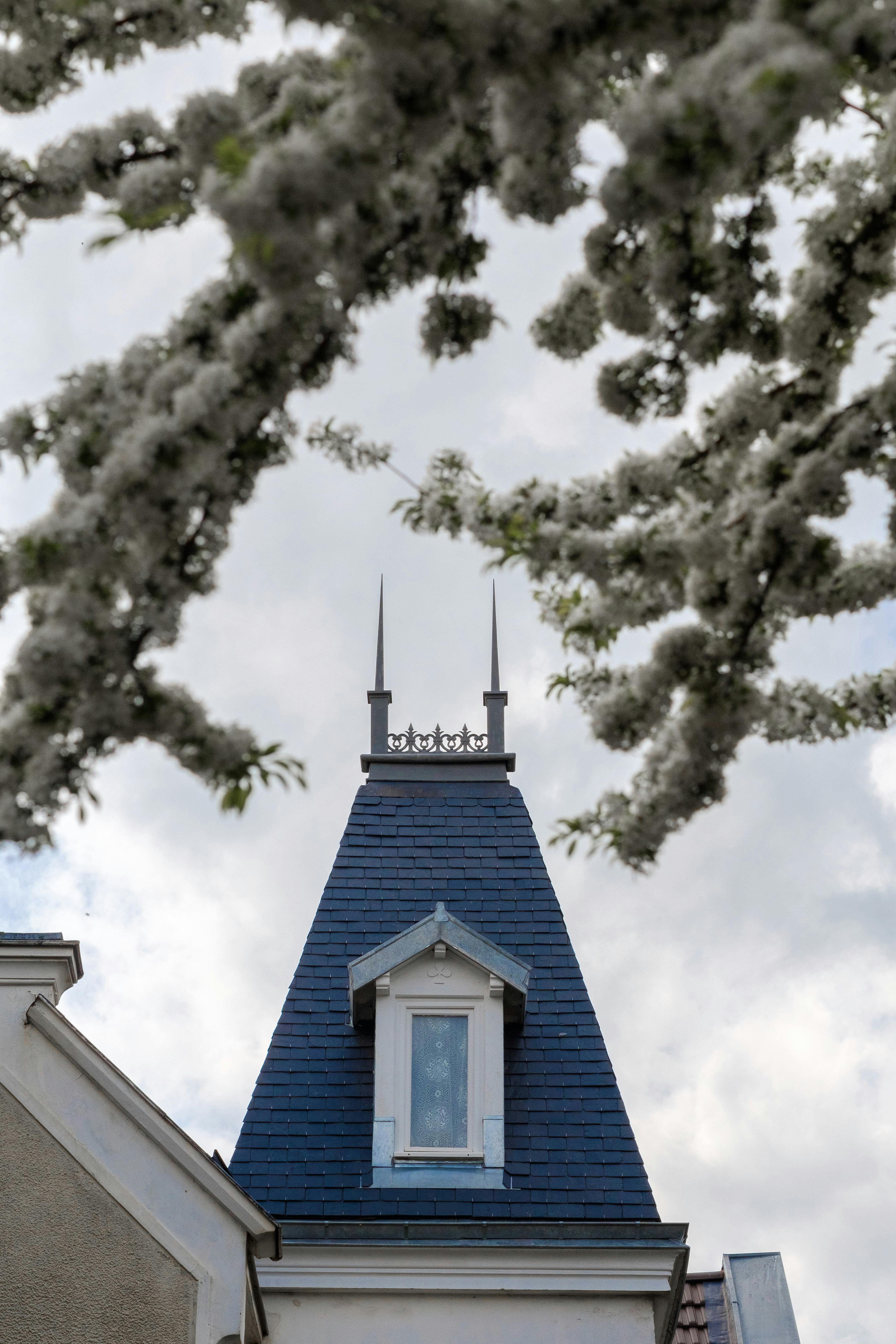 Gothic Roof Spire Framed by Blooming Branches · Free Stock Photo
