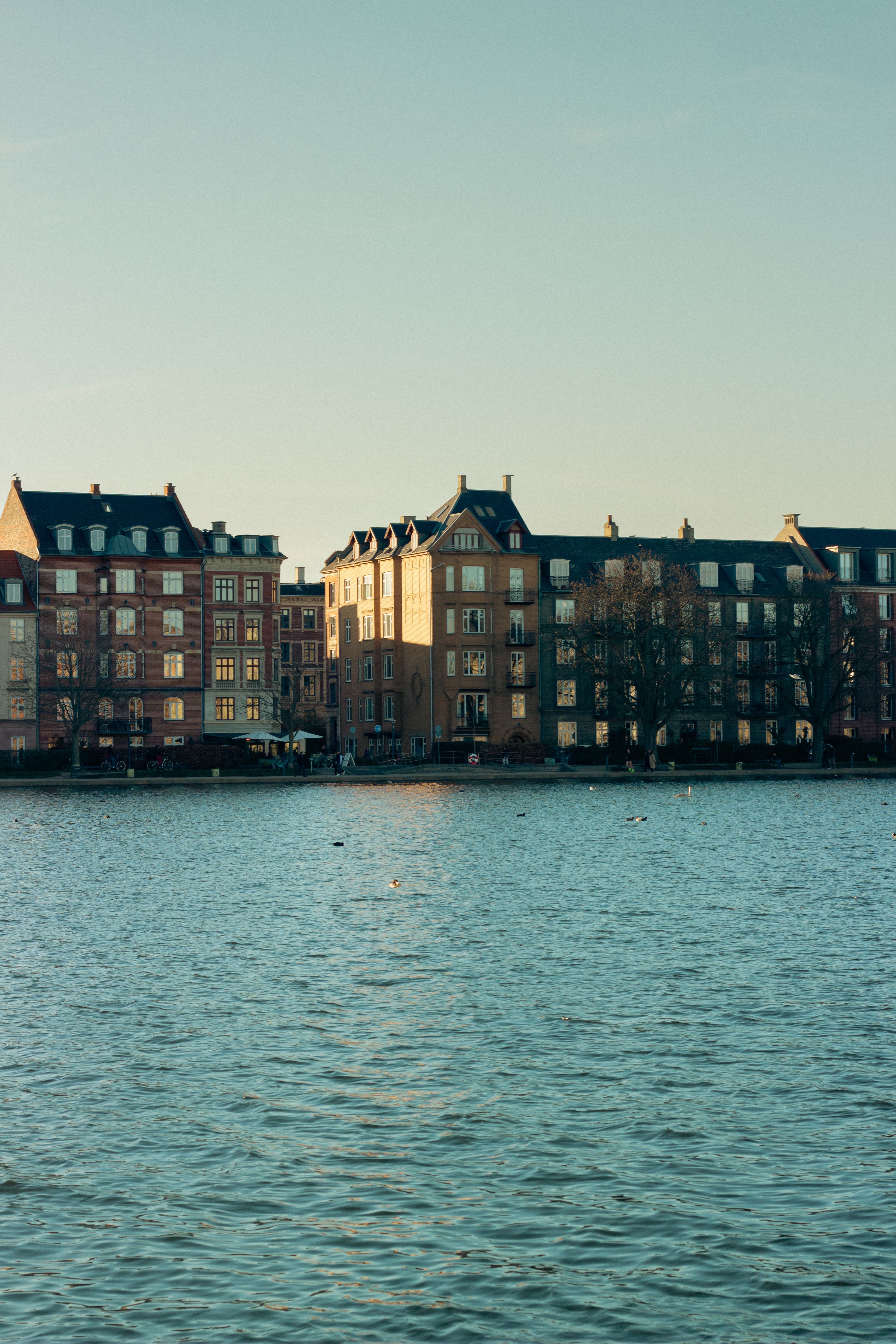 Charming Waterfront Buildings at Dusk · Free Stock Photo