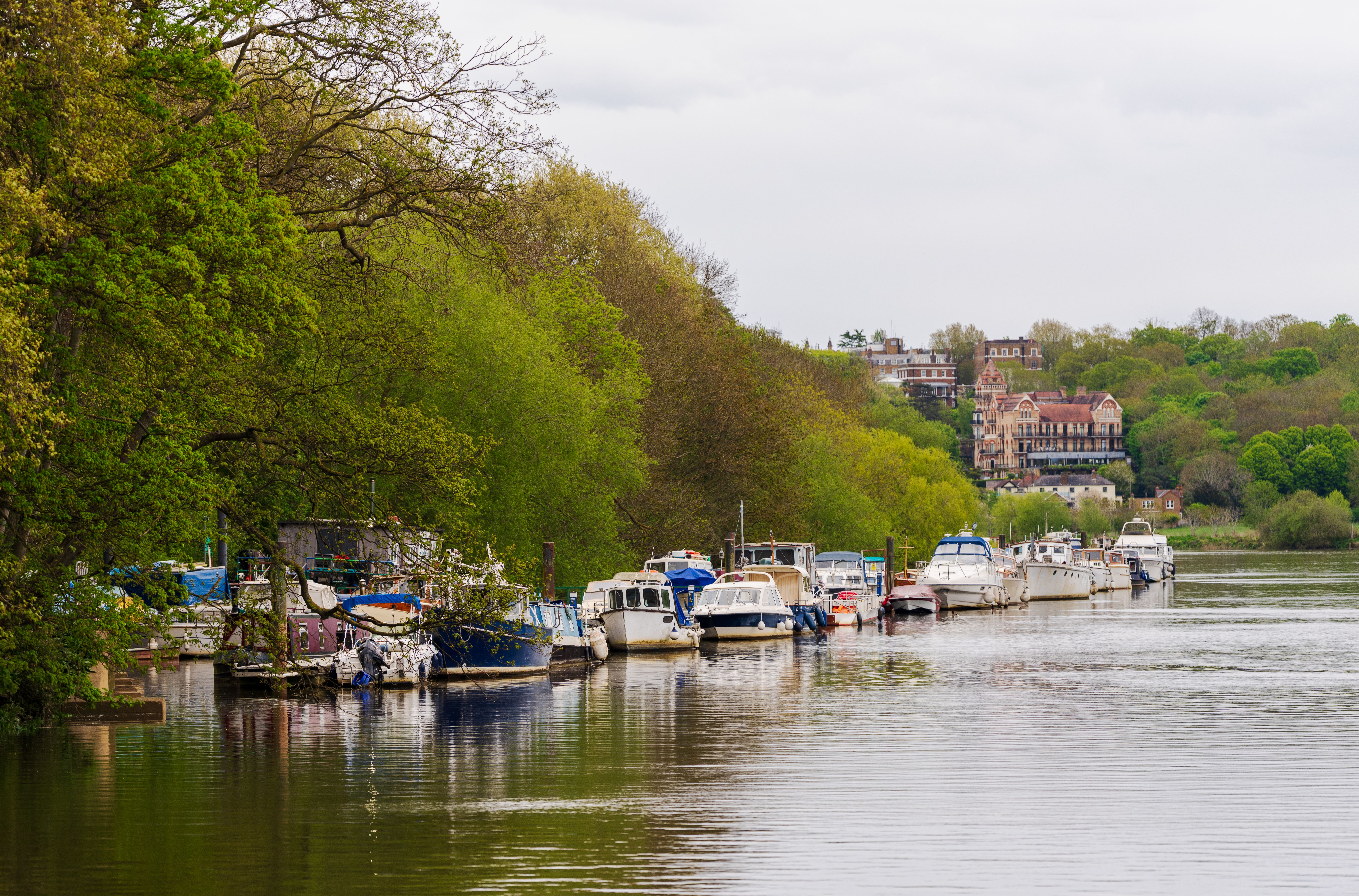 Scenic Riverside View with Boats in Springtime · Free Stock Photo