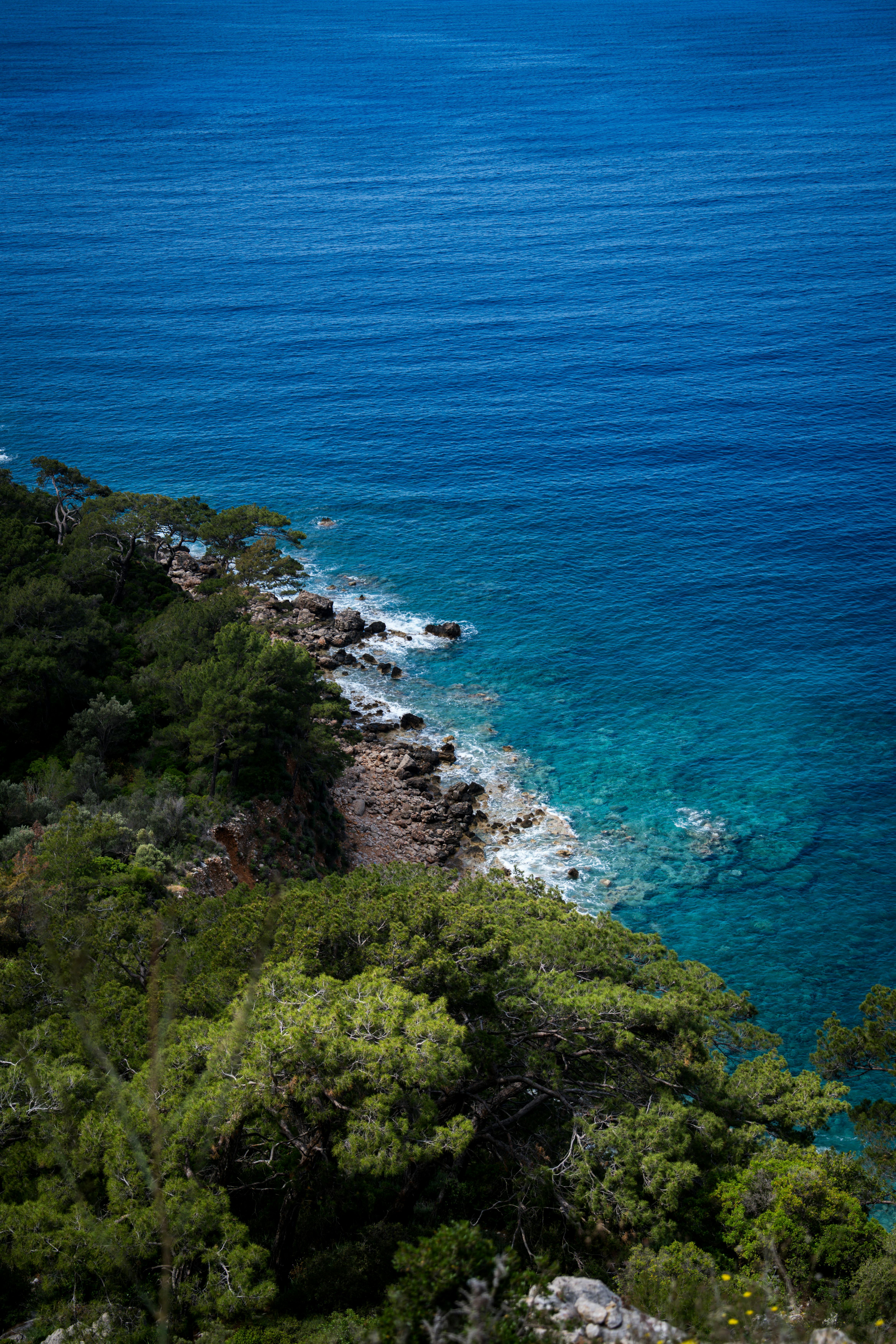 Stunning Aerial View of Coastal Cliffs and Blue Ocean · Free Stock Photo