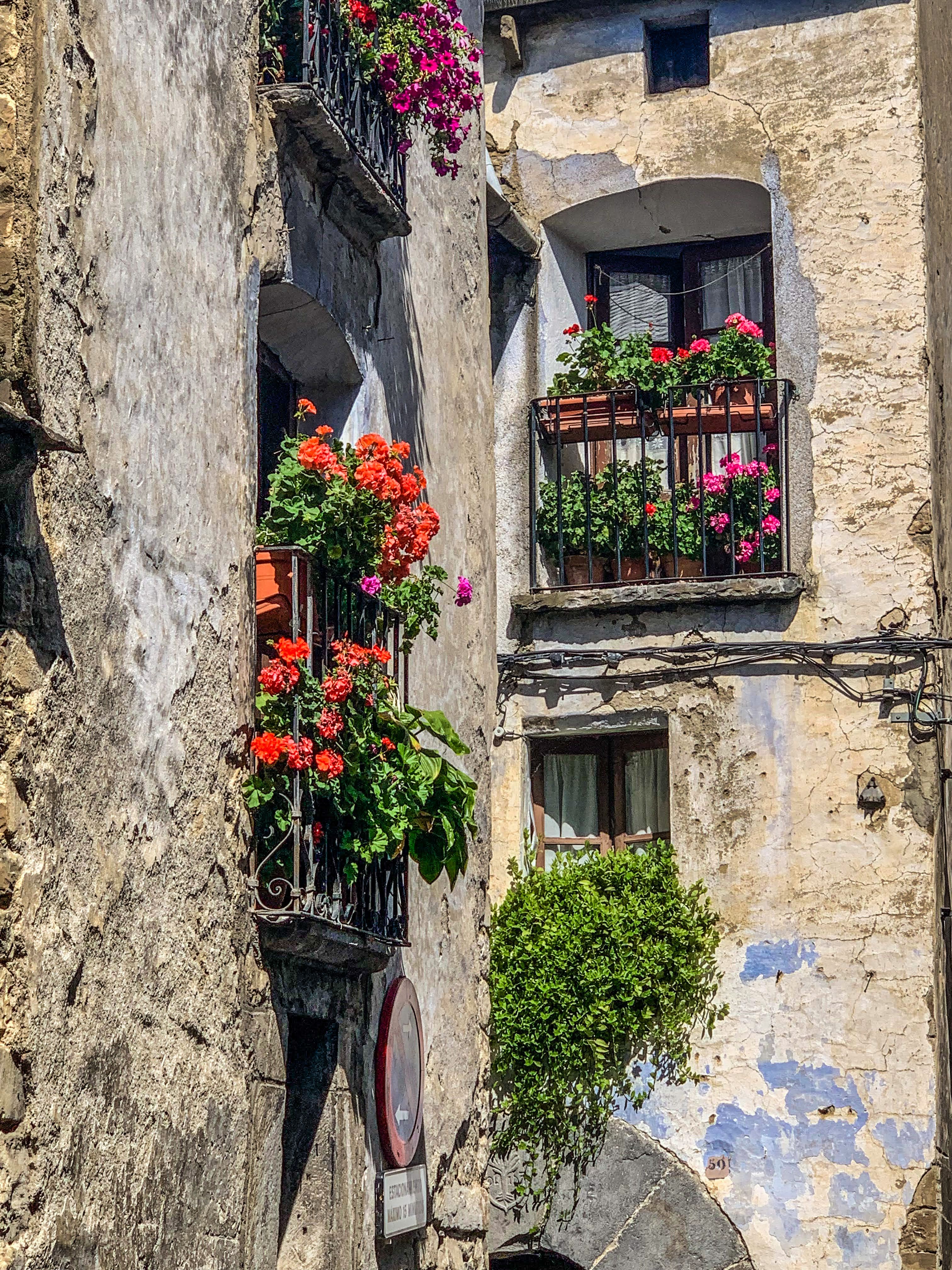 Turino Italy Photos, Download The BEST Free Turino Italy Stock Photos ...