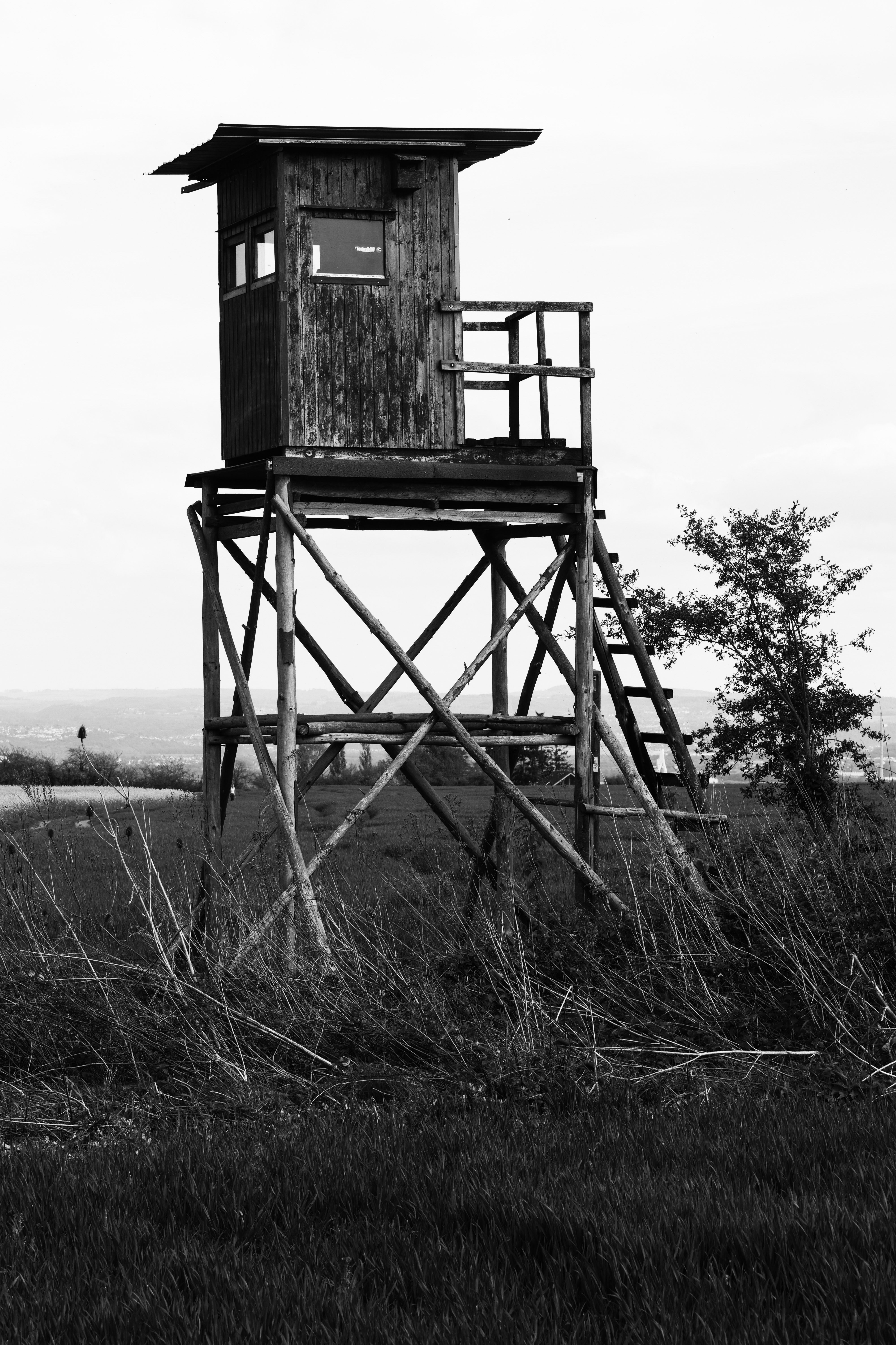 Rustic Wooden Watchtower in Andernach Countryside · Free Stock Photo