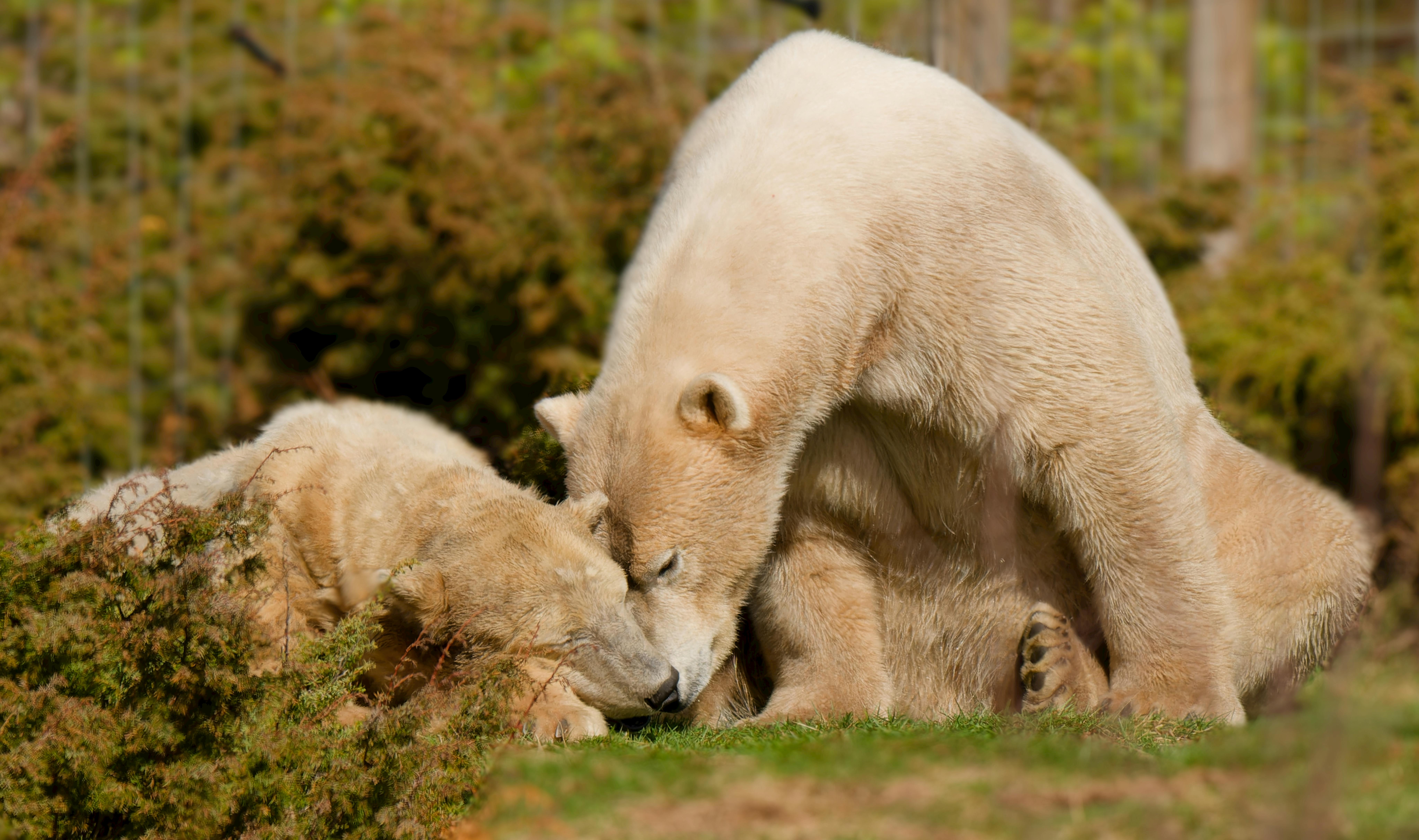 Mom Swap Club Gif Photos, Download The BEST Free Mom Swap Club Gif ...