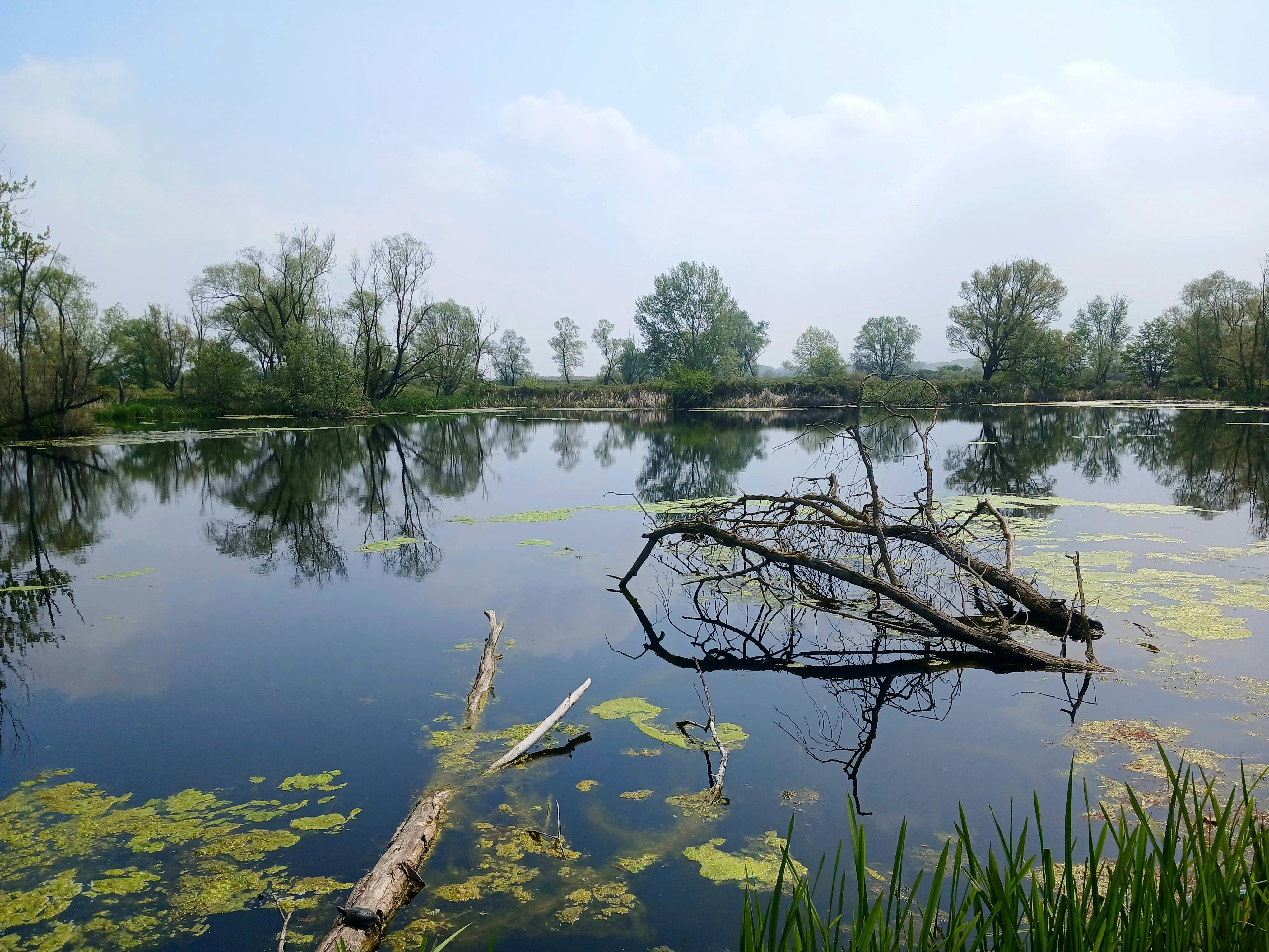 Docker+Images Photos, Download The BEST Free Docker+Images Stock Photos ...