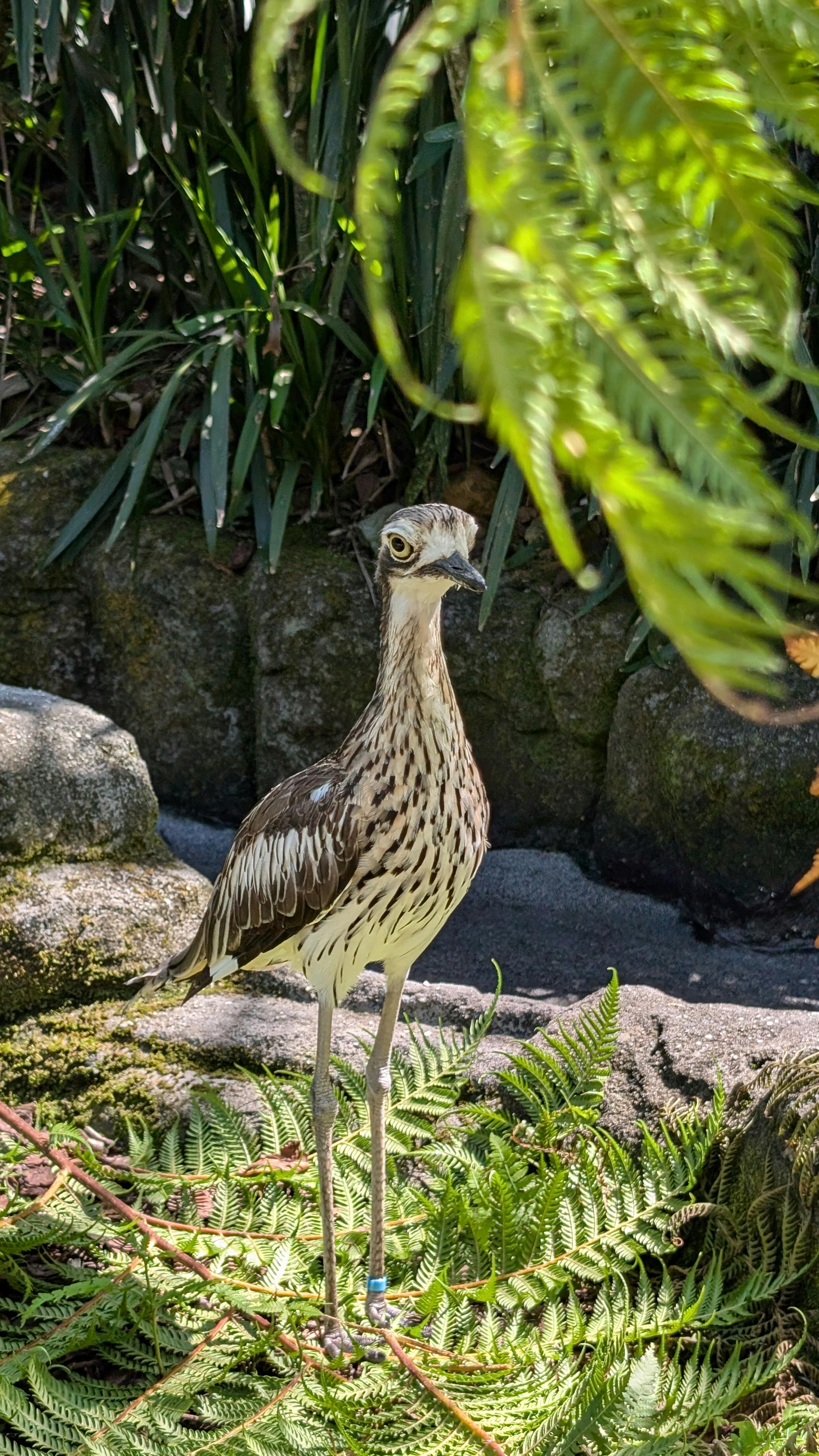 Zane Holmes - 摄影