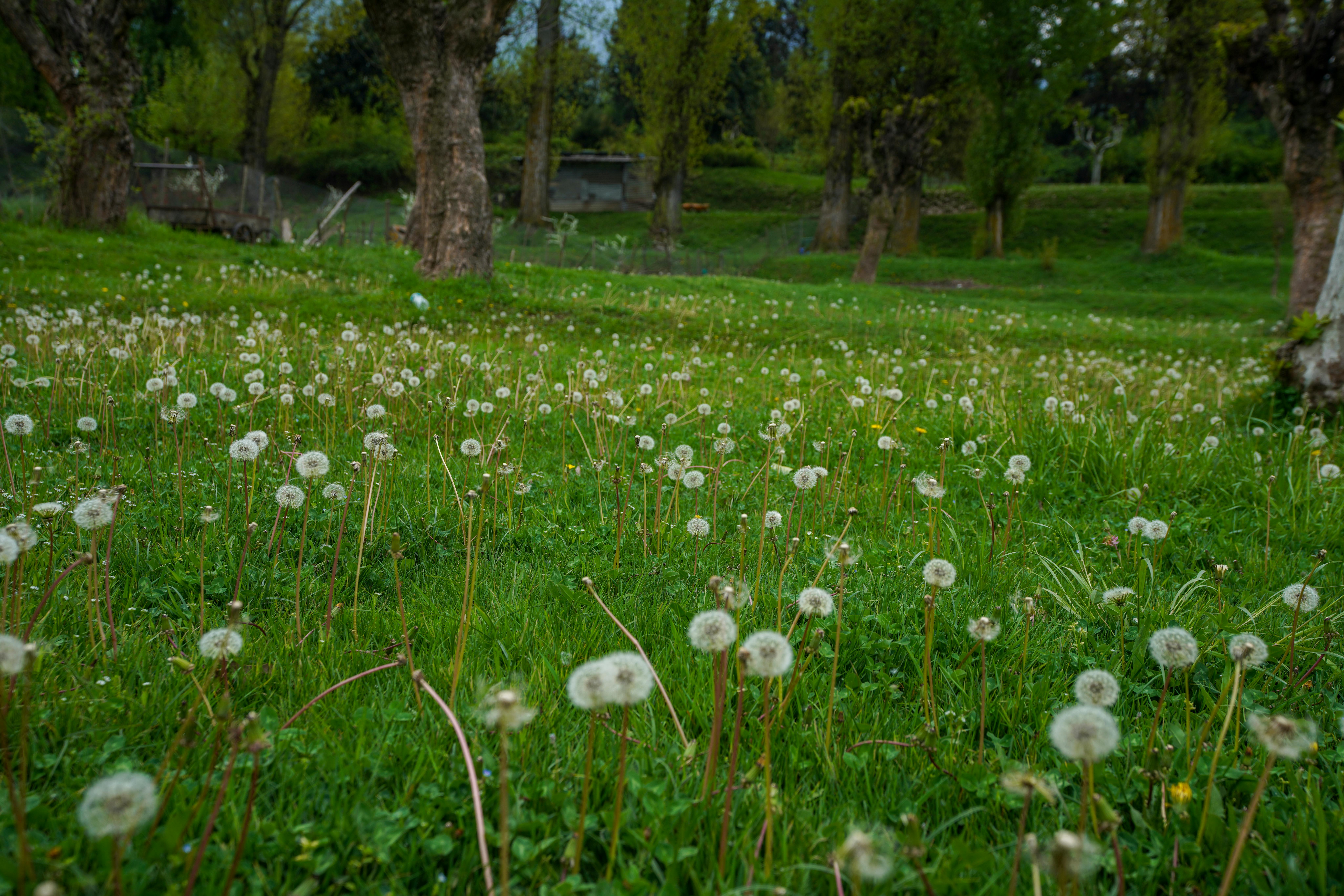 Clean Pfp Photos, Download The BEST Free Clean Pfp Stock Photos & HD Images