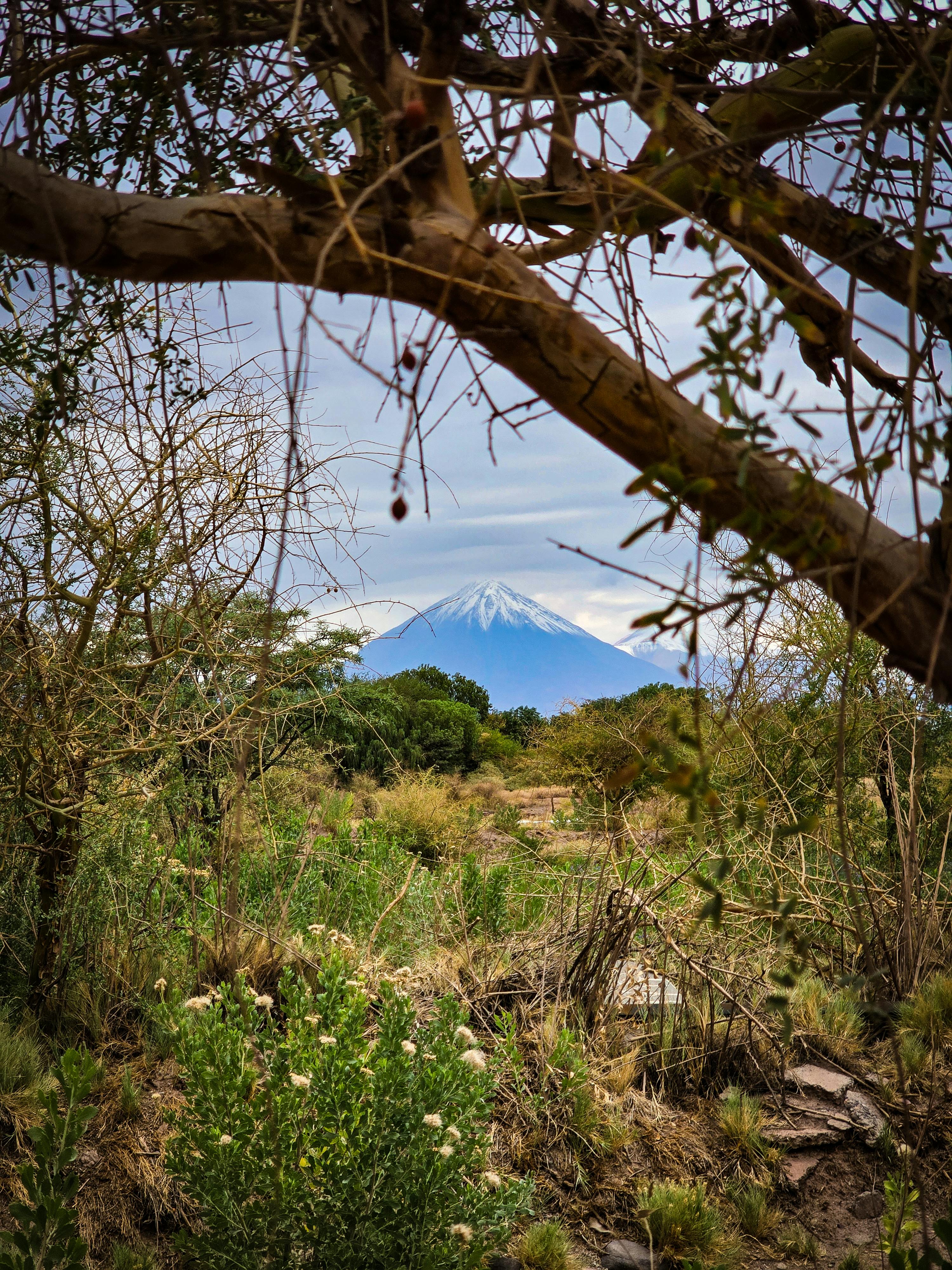 Framed View of Snow-Capped Volcano in Wilderness · Free Stock Photo