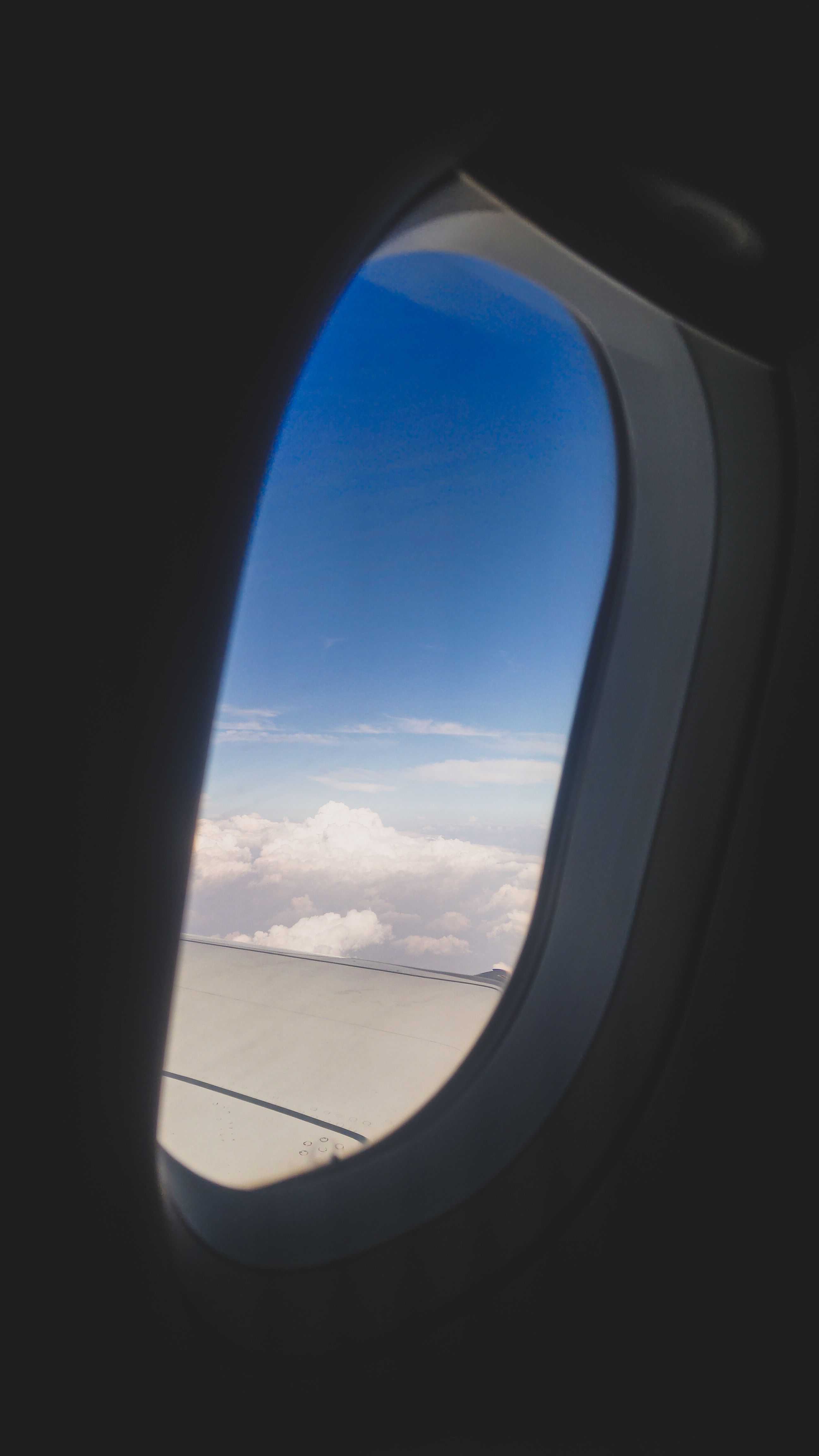 Woman Looking Out Side From A Windown Airplane Photos, Download The ...