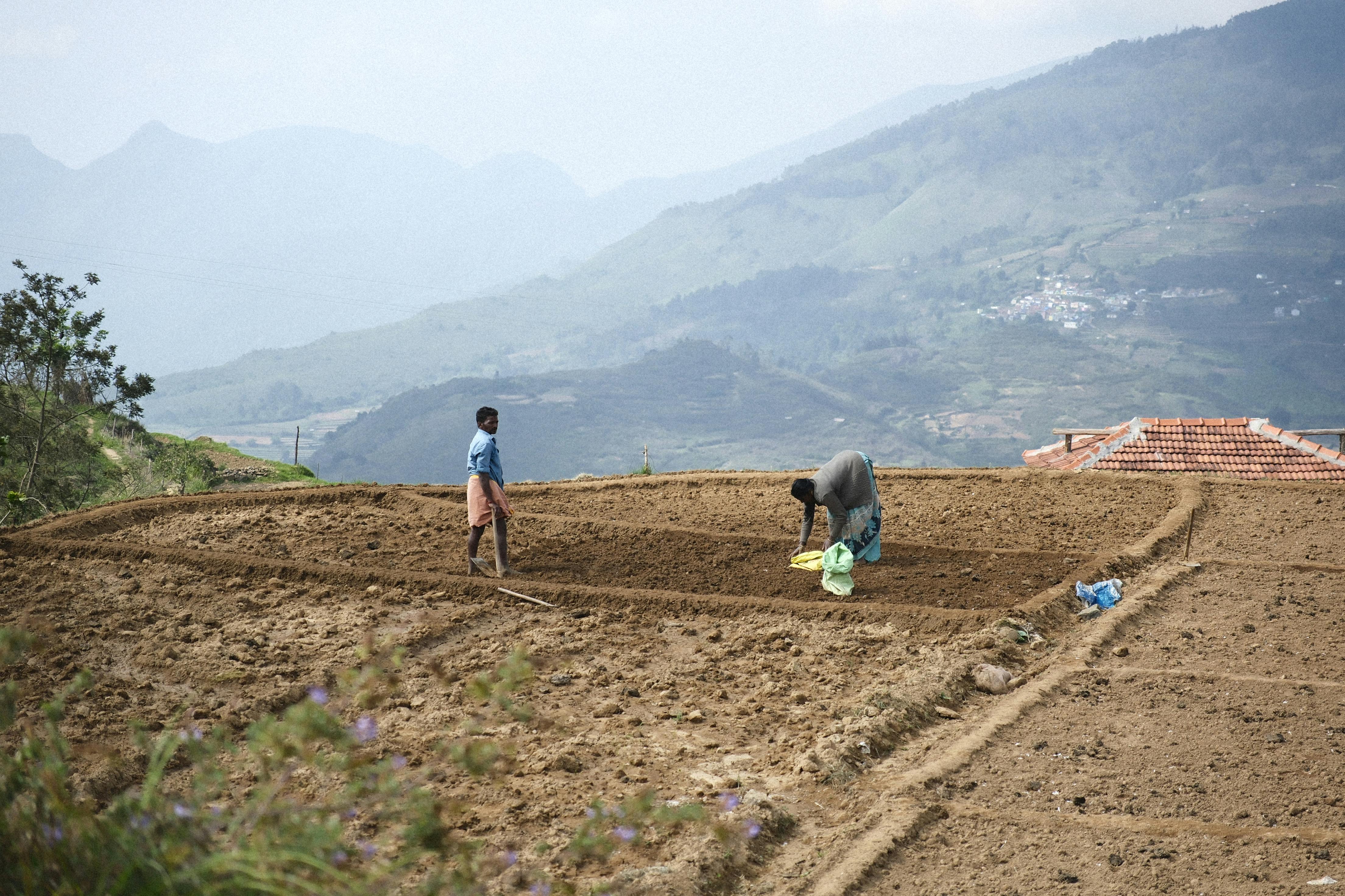Rural Farming Scene in Kodaikanal Hills · Free Stock Photo