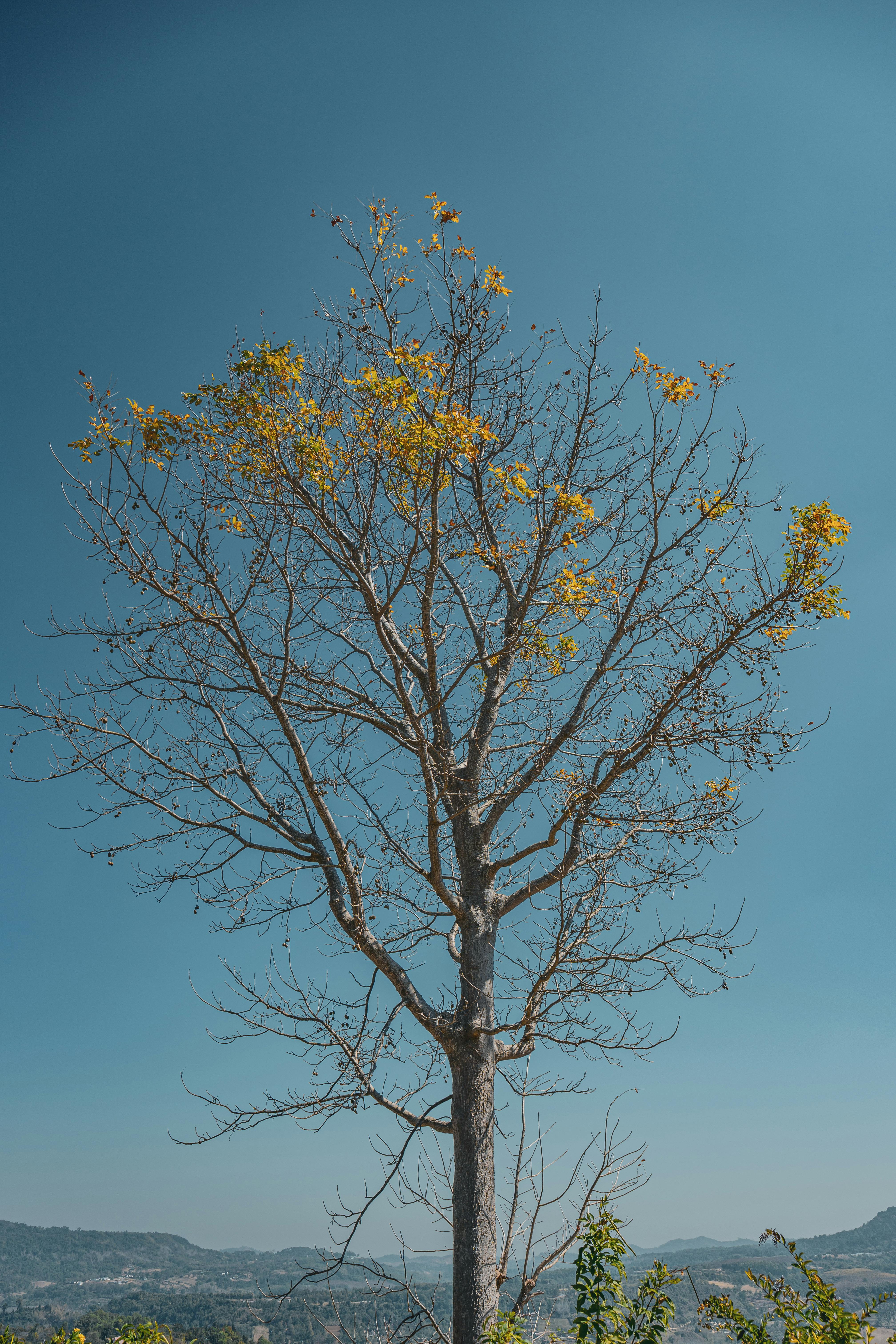 18+ Images Photos, Download The BEST Free 18+ Images Stock Photos & HD ...