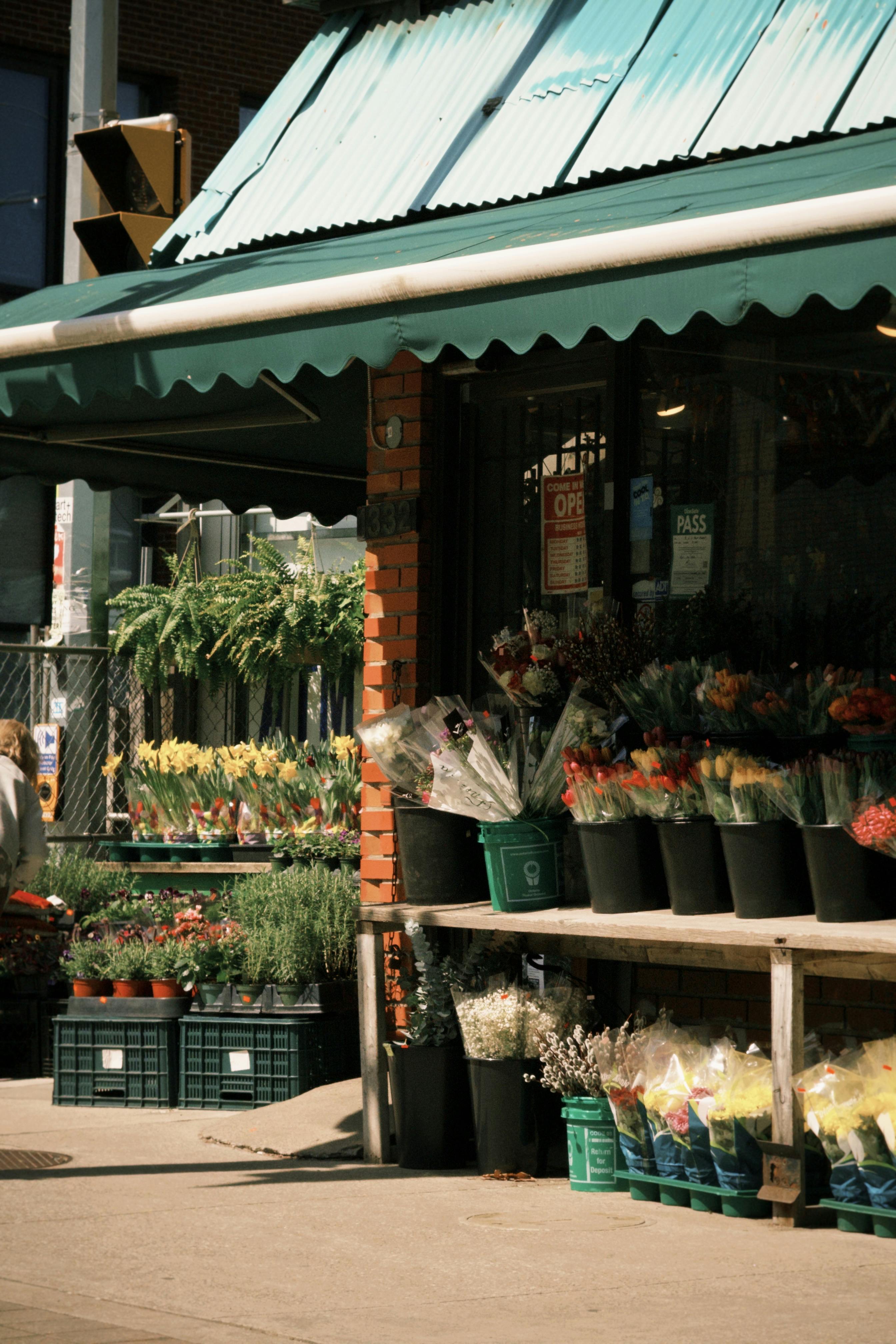 Charming Flower Shop in Toronto's Urban Setting · Free Stock Photo