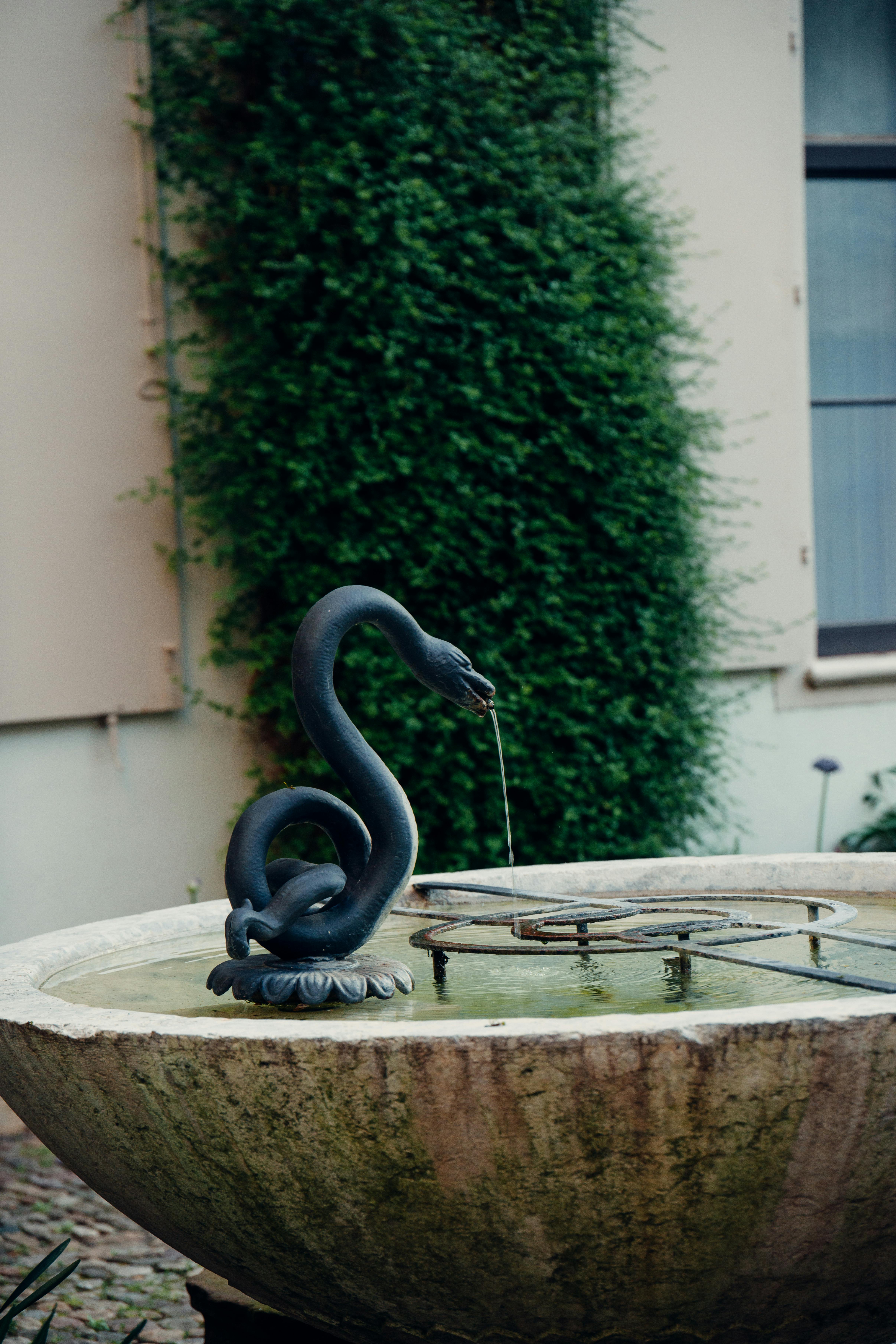 Serpent Fountain in Basel Classic Architecture · Free Stock Photo