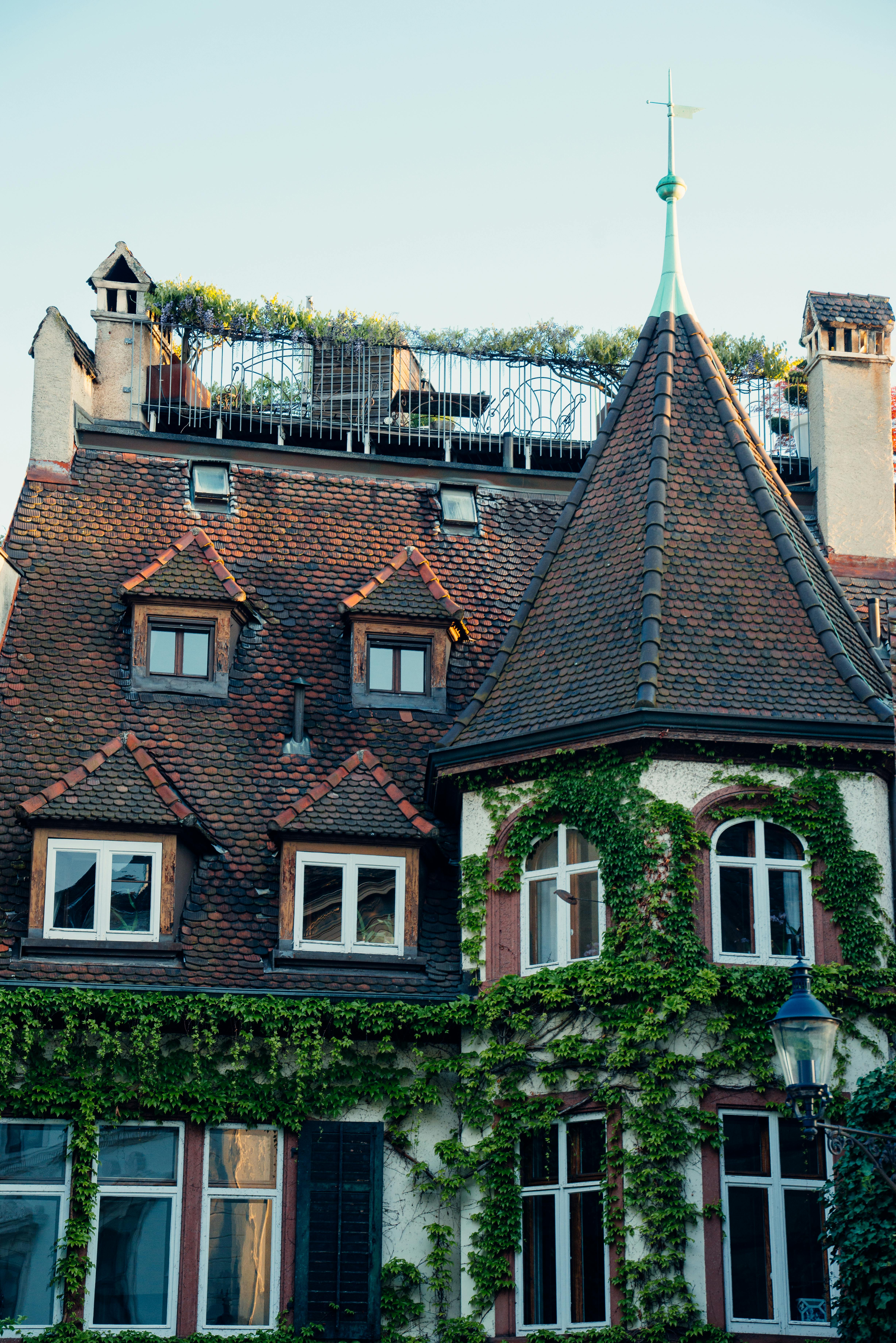 Charming Basel Architecture with Ivy-Covered Walls · Free Stock Photo
