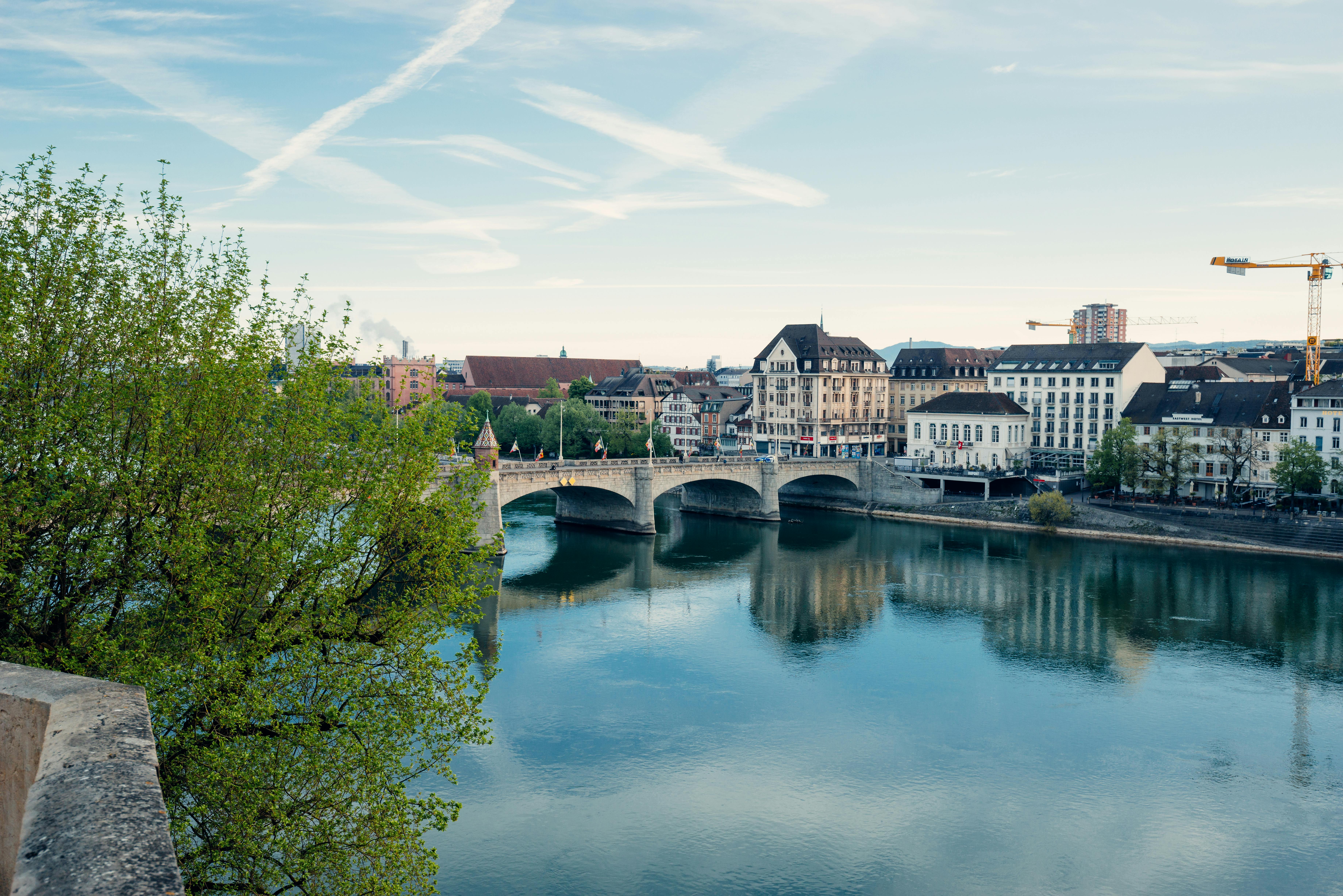 Foto de stock gratuita sobre al aire libre, albahaca, arboles ...