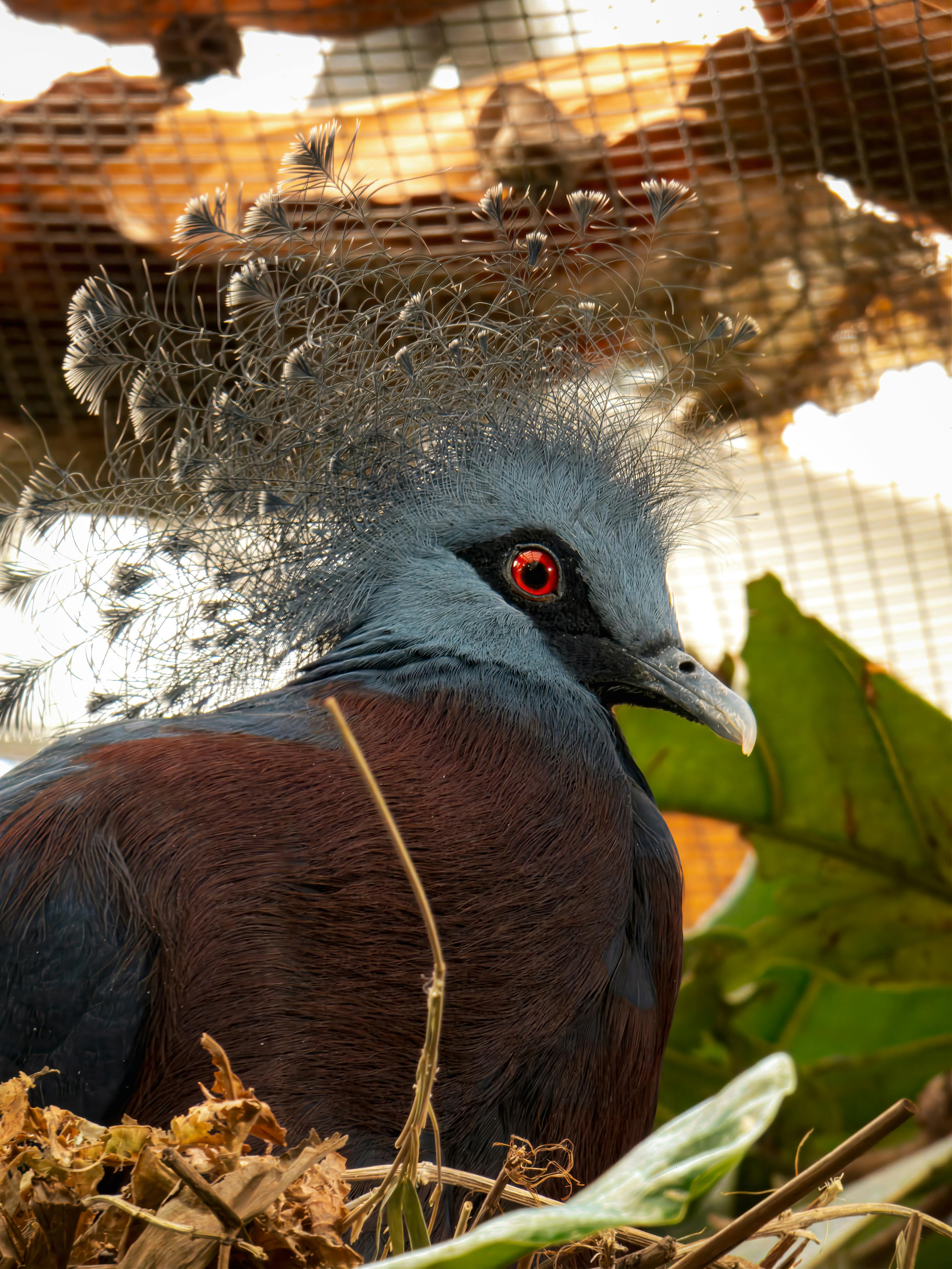 +Vidio+Bokep+Indo+Terbaru Photos, Download The BEST Free +Vidio+Bokep+Indo+Terbaru Stock Photos ...