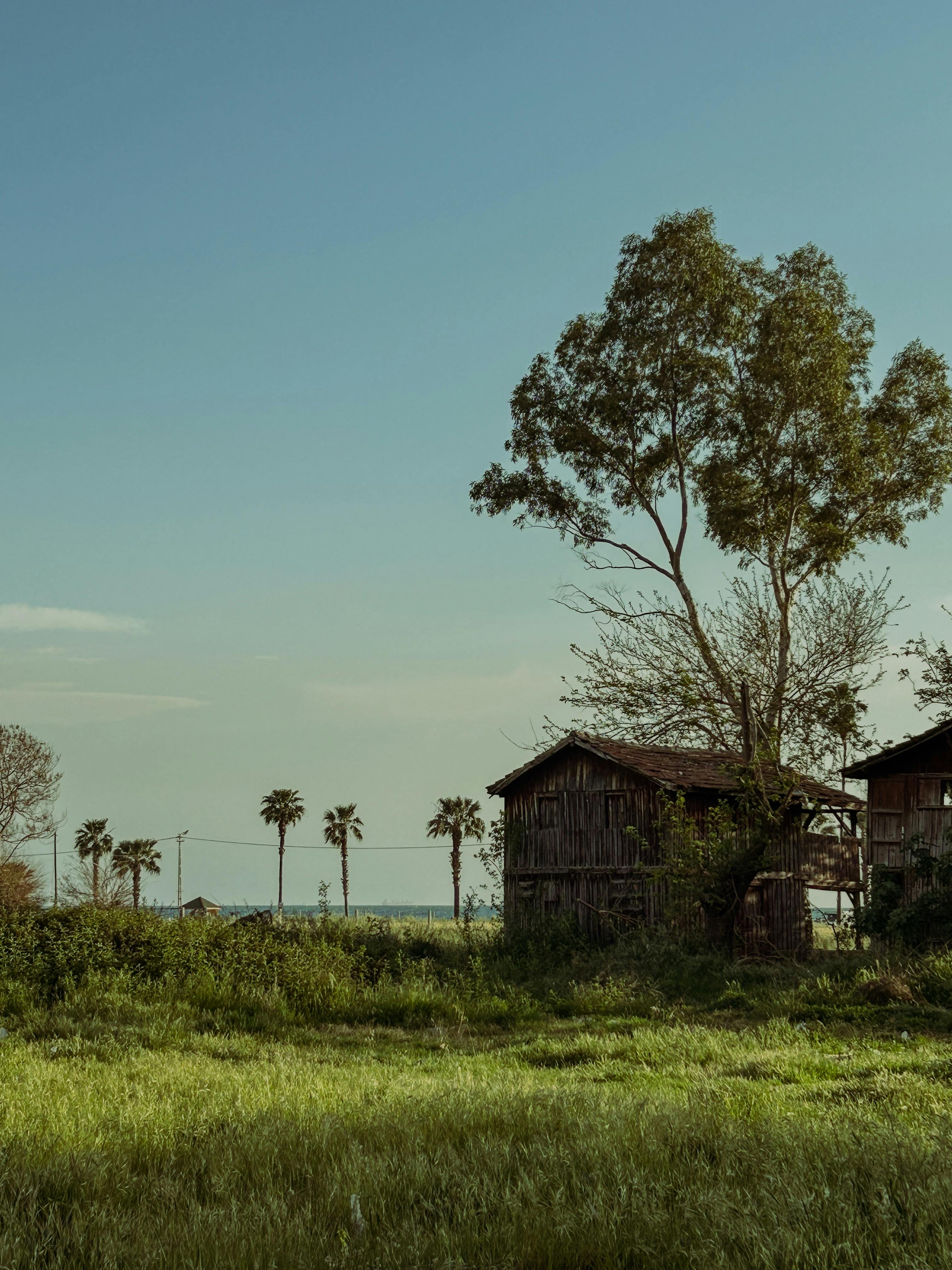 Rustic Wooden Barns in Lush Countryside Landscape · Free Stock Photo