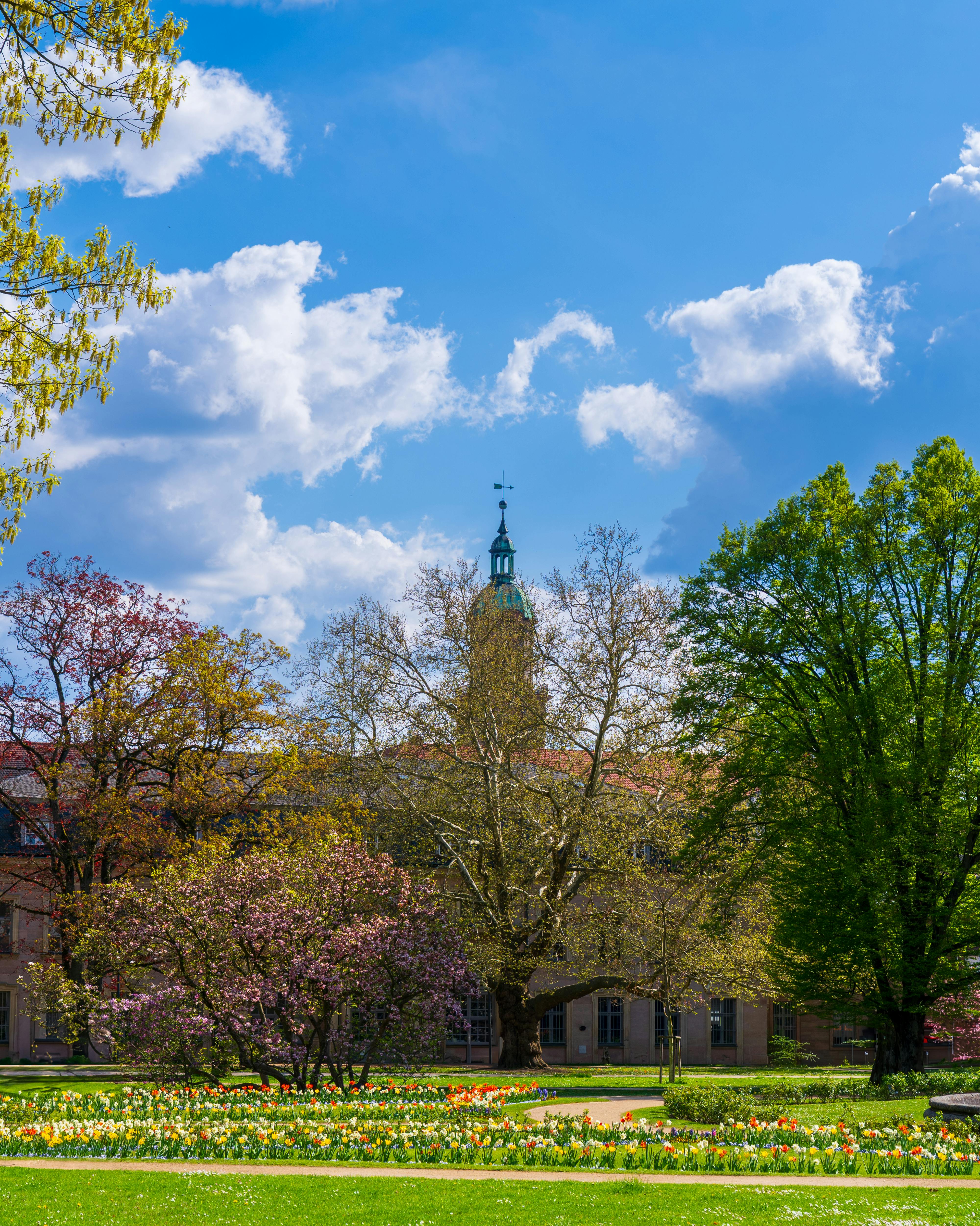 Springtime Blend of Nature and Architecture · Free Stock Photo
