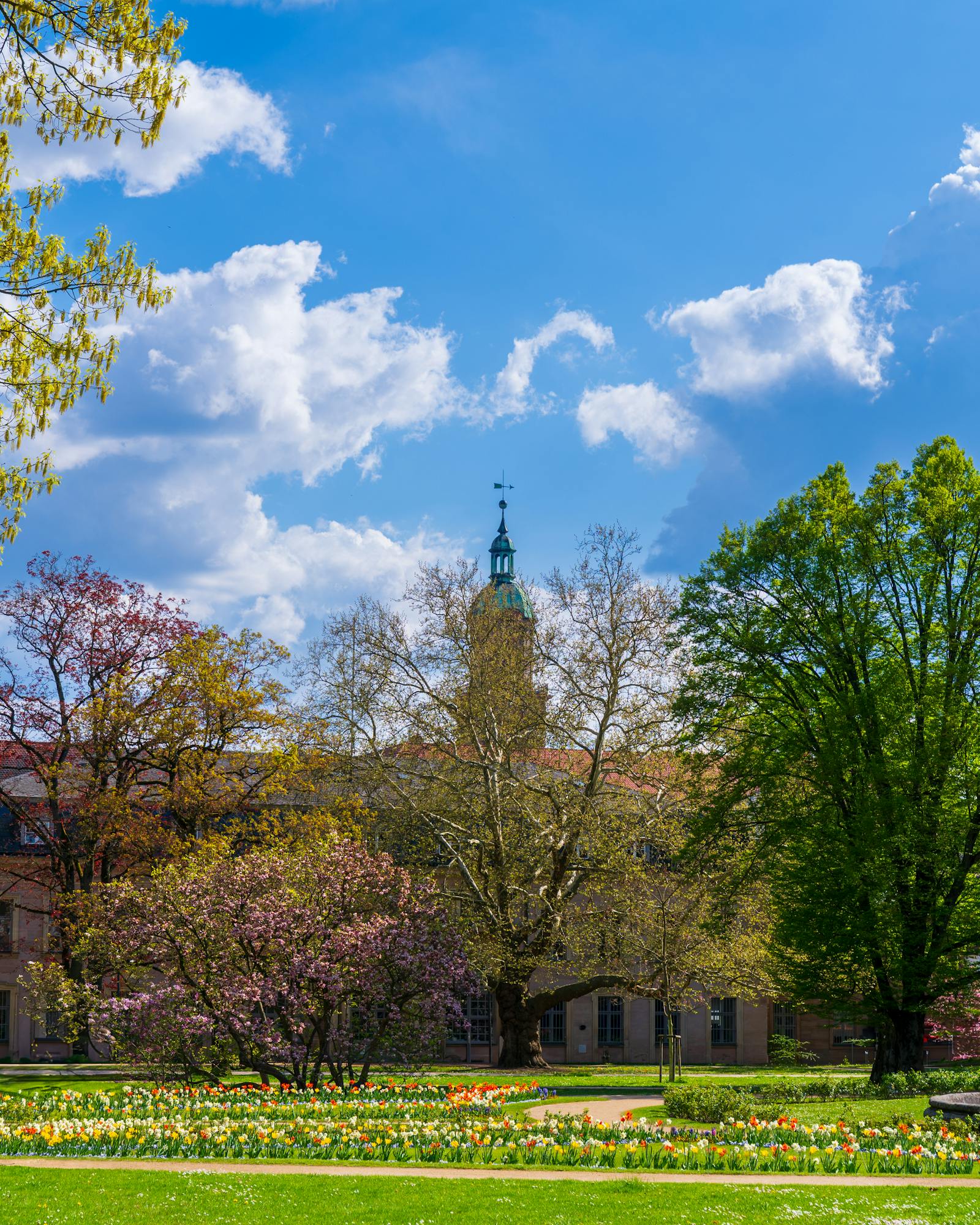 Springtime Photos, Download The BEST Free Springtime Stock Photos & HD ...