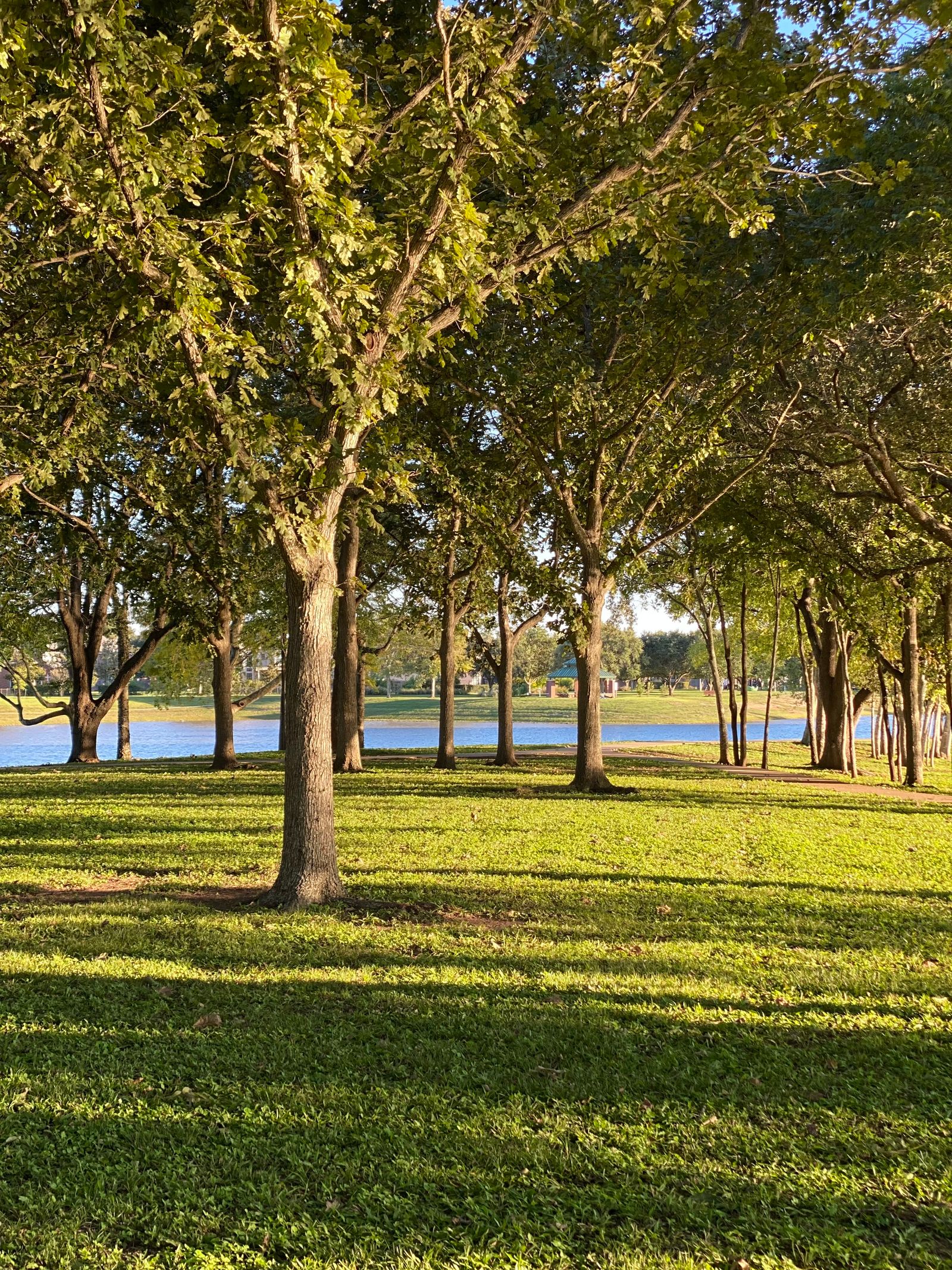 Park. Photos, Download The BEST Free Park. Stock Photos & HD Images