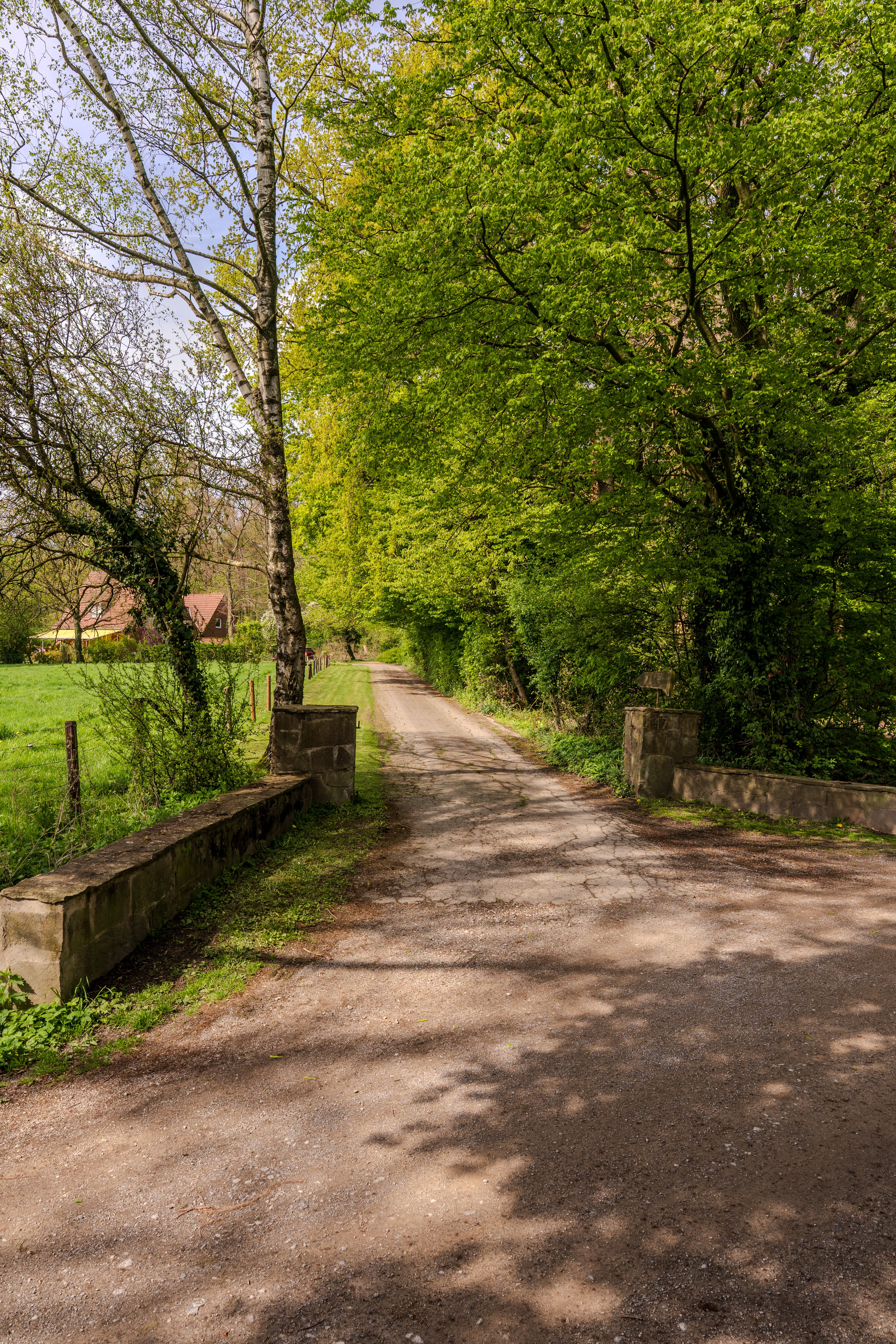 Peaceful Country Path in Lush Green Spring Landscape · Free Stock Photo