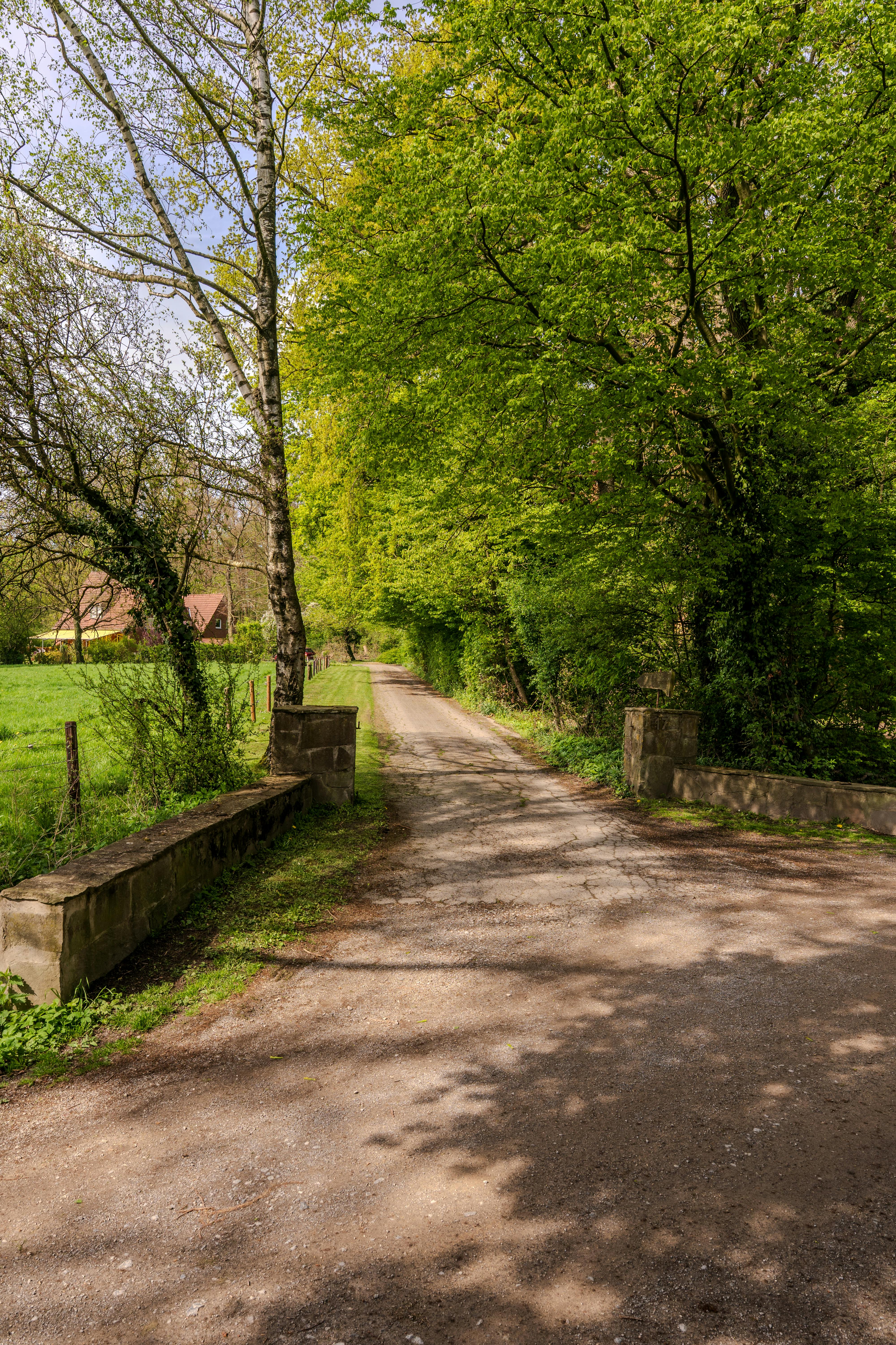 Peaceful Country Path in Lush Green Spring Landscape · Free Stock Photo