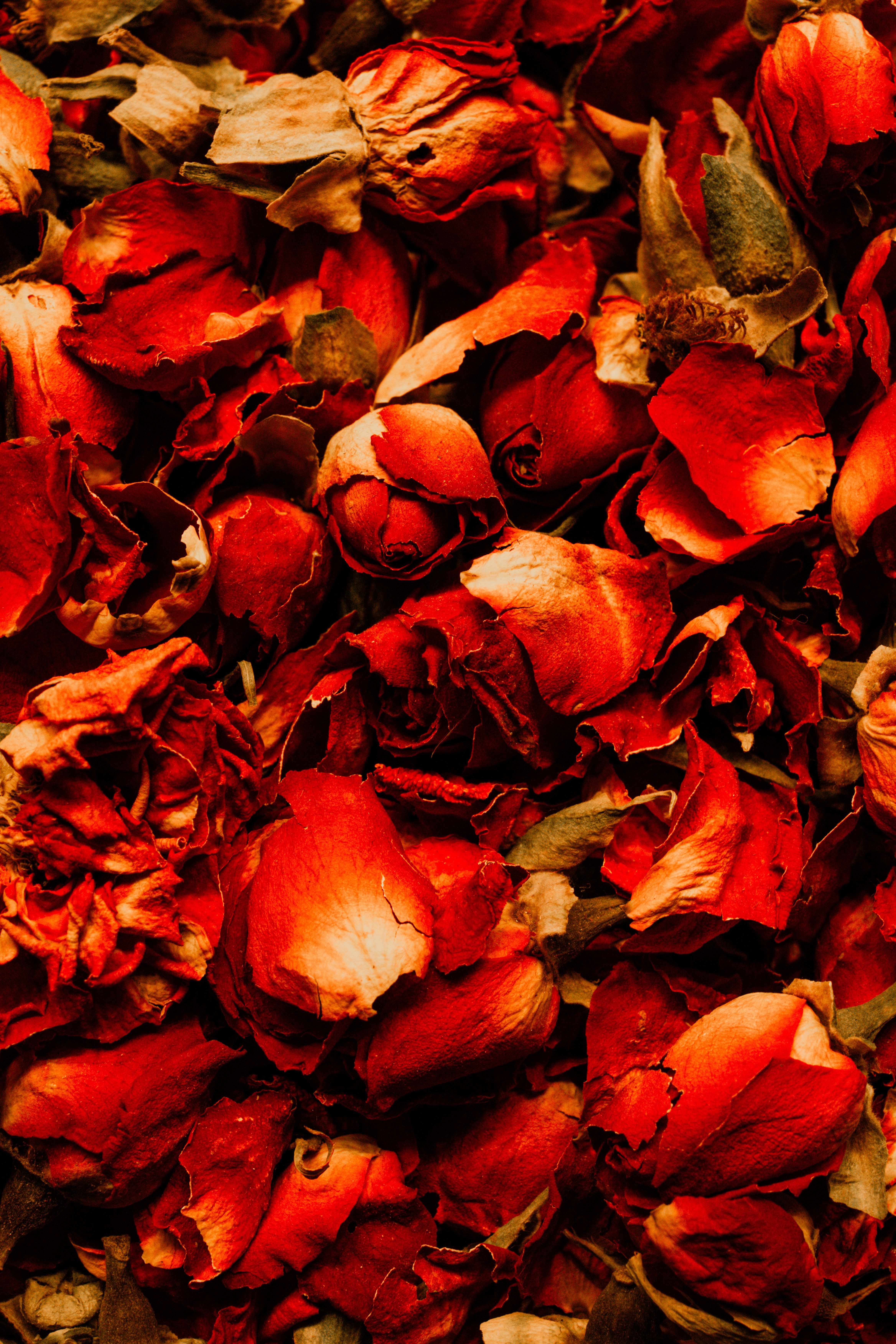 Background 4x6 Photos, Download The BEST Free Background 4x6 Stock ...