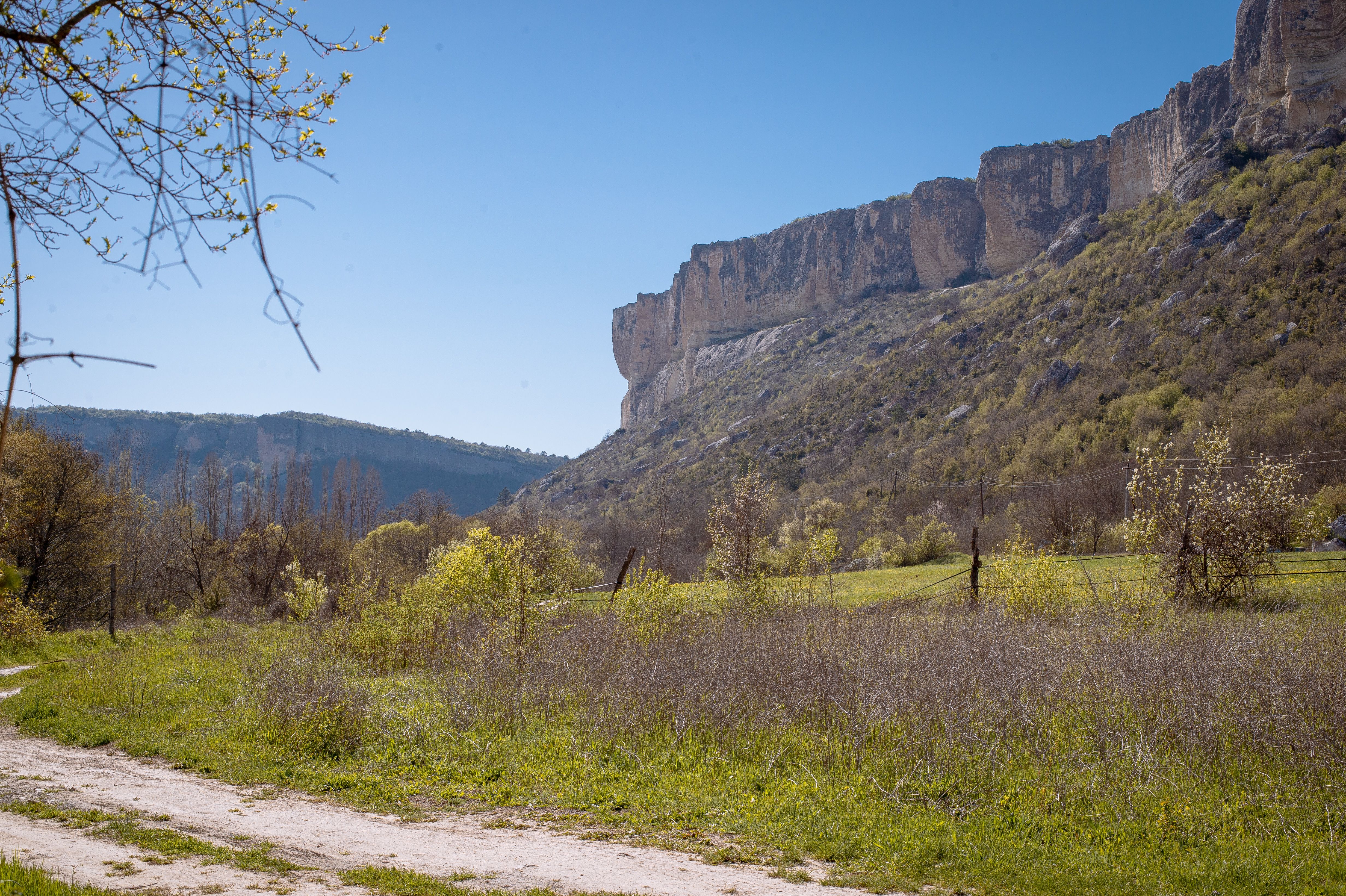 Scenic Spring Landscape with Mountain View · Free Stock Photo