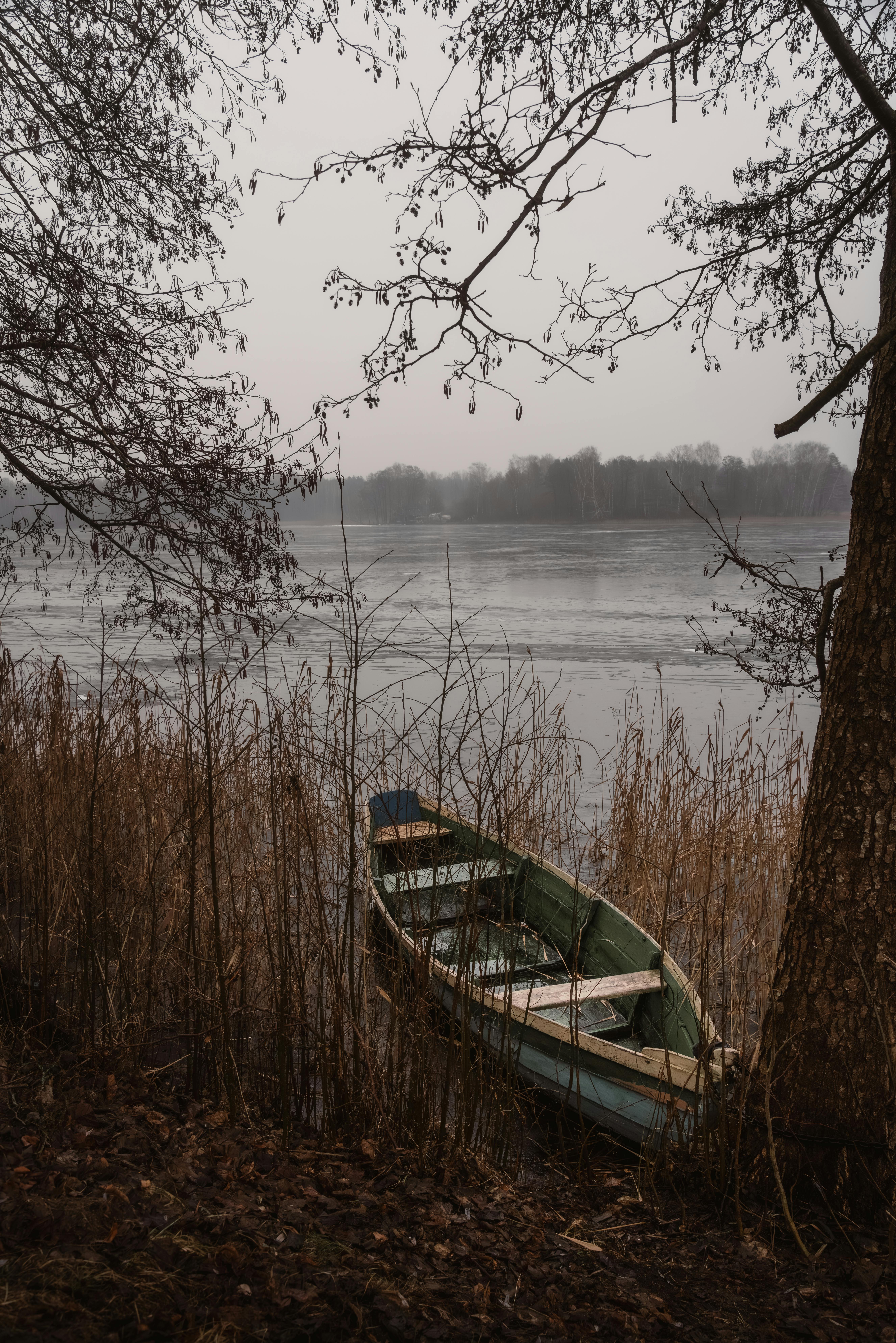 Unsplash Nature Photos, Download The BEST Free Unsplash Nature Stock ...