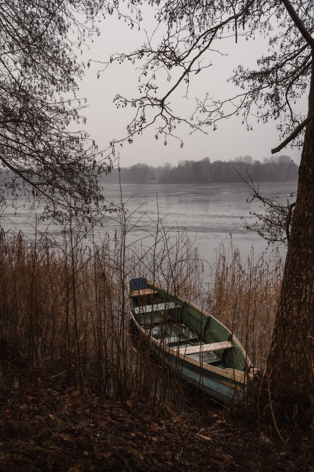 Unsplash Photos, Download The BEST Free Unsplash Stock Photos & HD Images