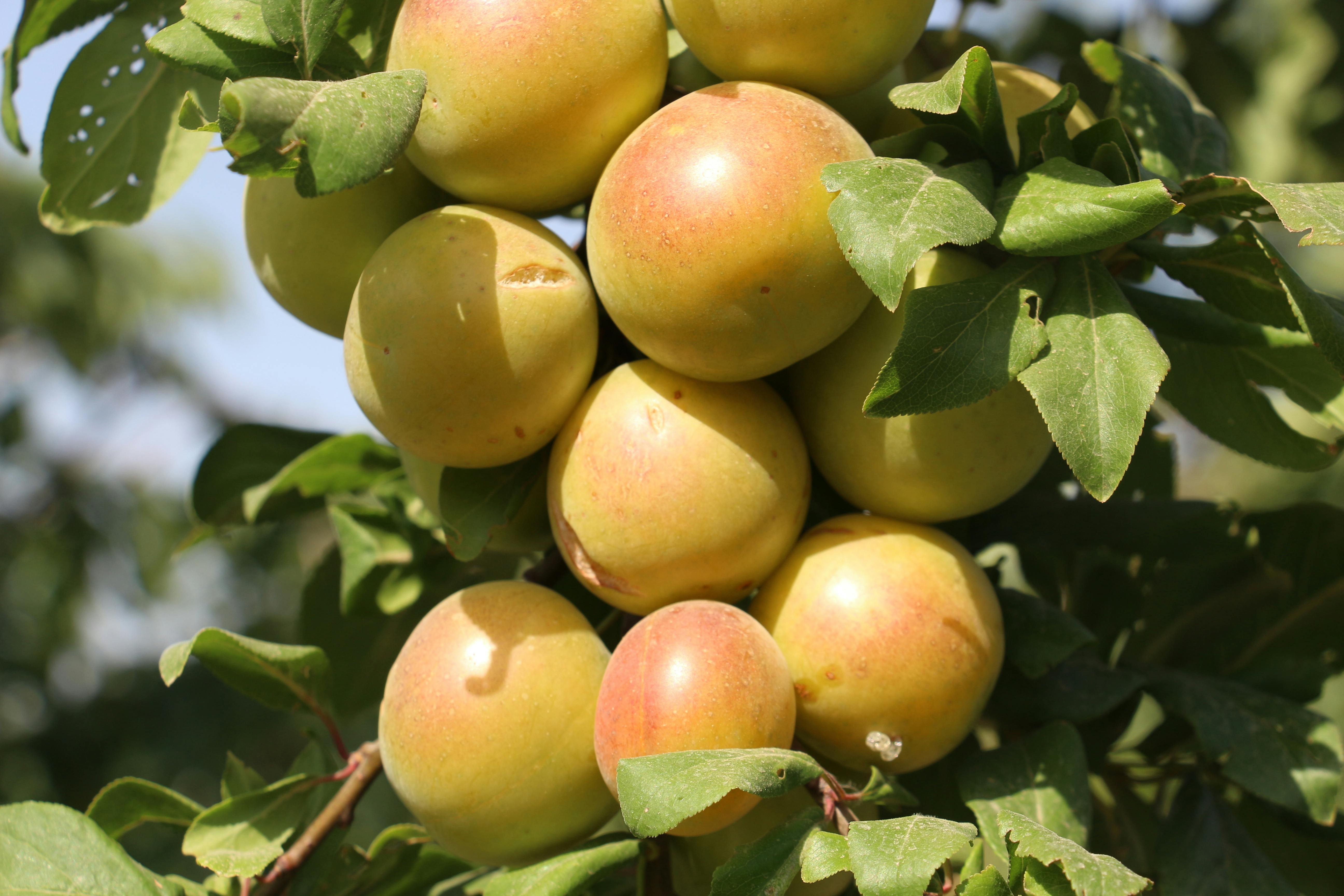 Raw Ui Photos, Download The BEST Free Raw Ui Stock Photos & HD Images