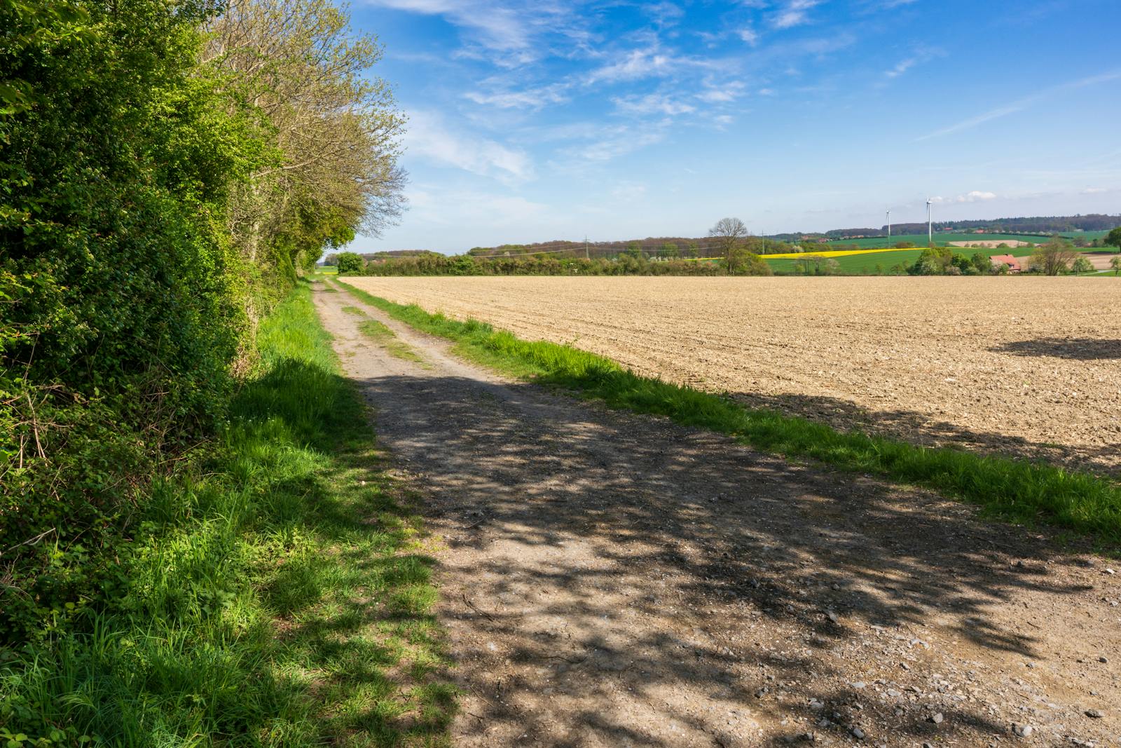 Dirt Path Photos, Download The BEST Free Dirt Path Stock Photos & HD Images