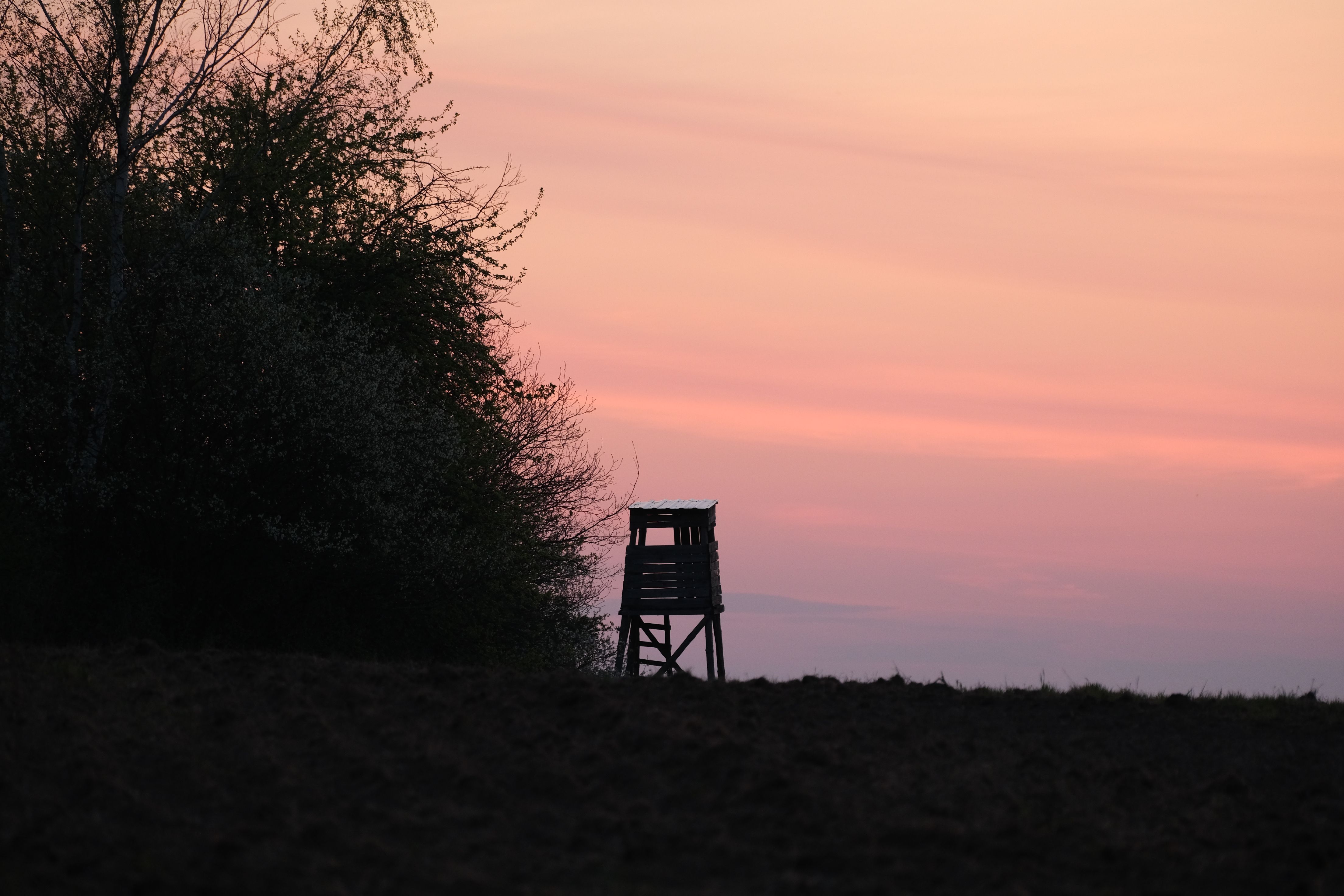 Sunset Silhouette of Hunting Stand by Forest · Free Stock Photo