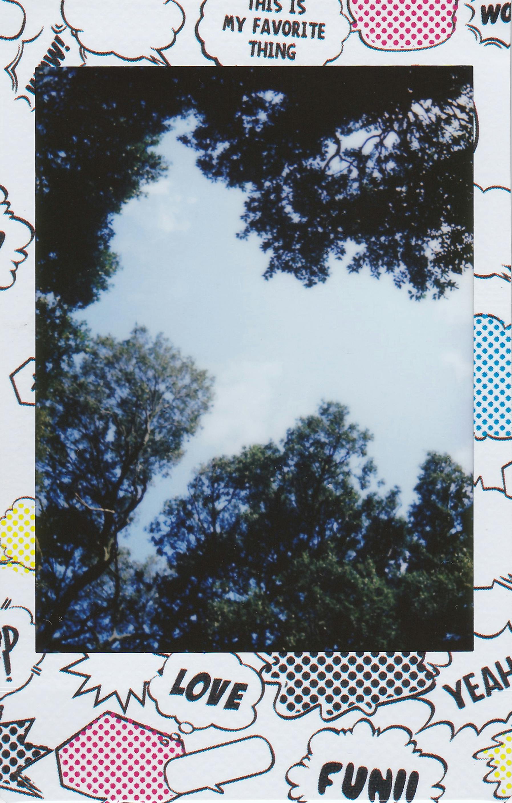 Green Trees Under White Clouds · Free Stock Photo