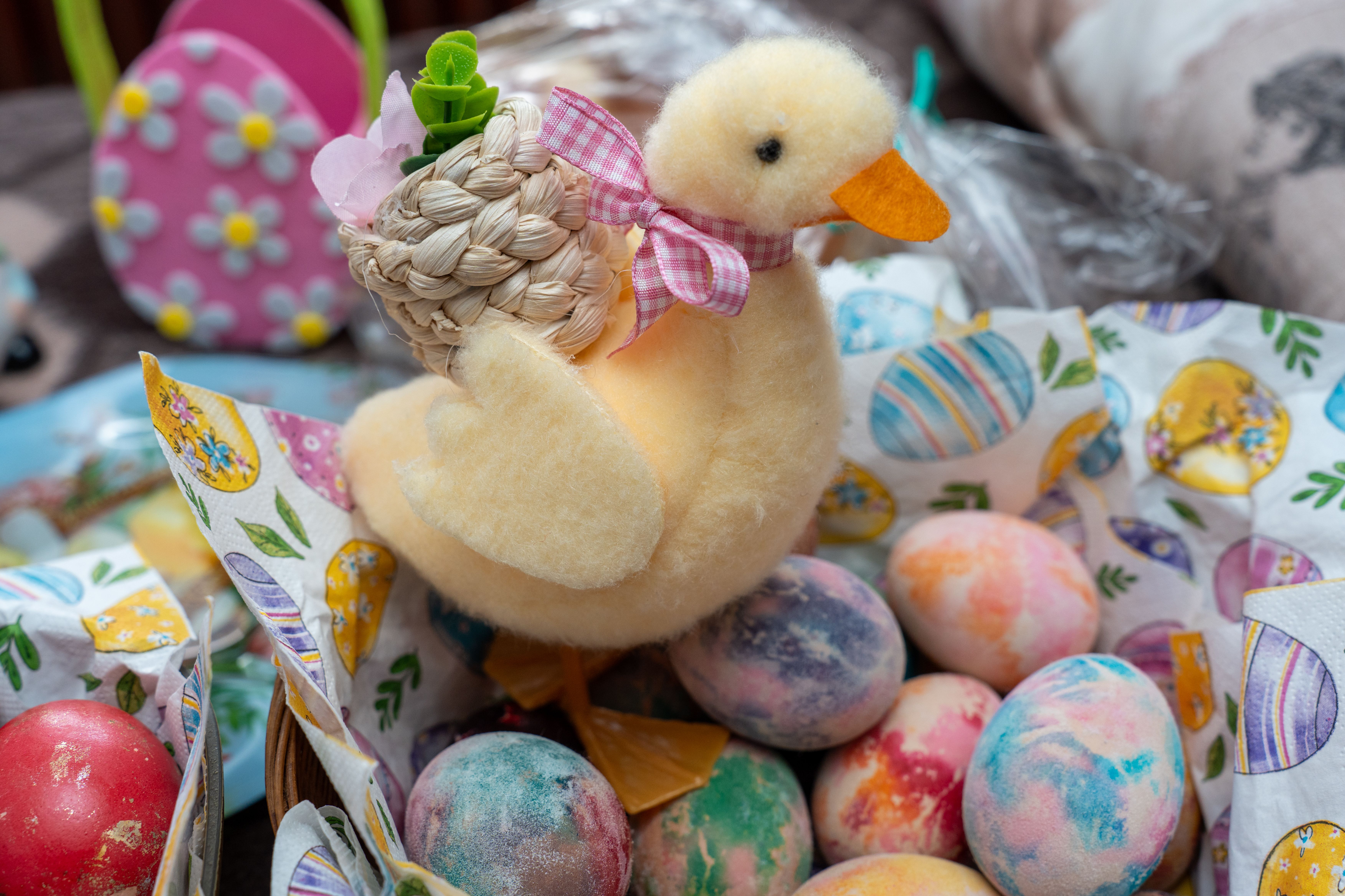 Easter Duck with Colorful Eggs in Basket · Free Stock Photo