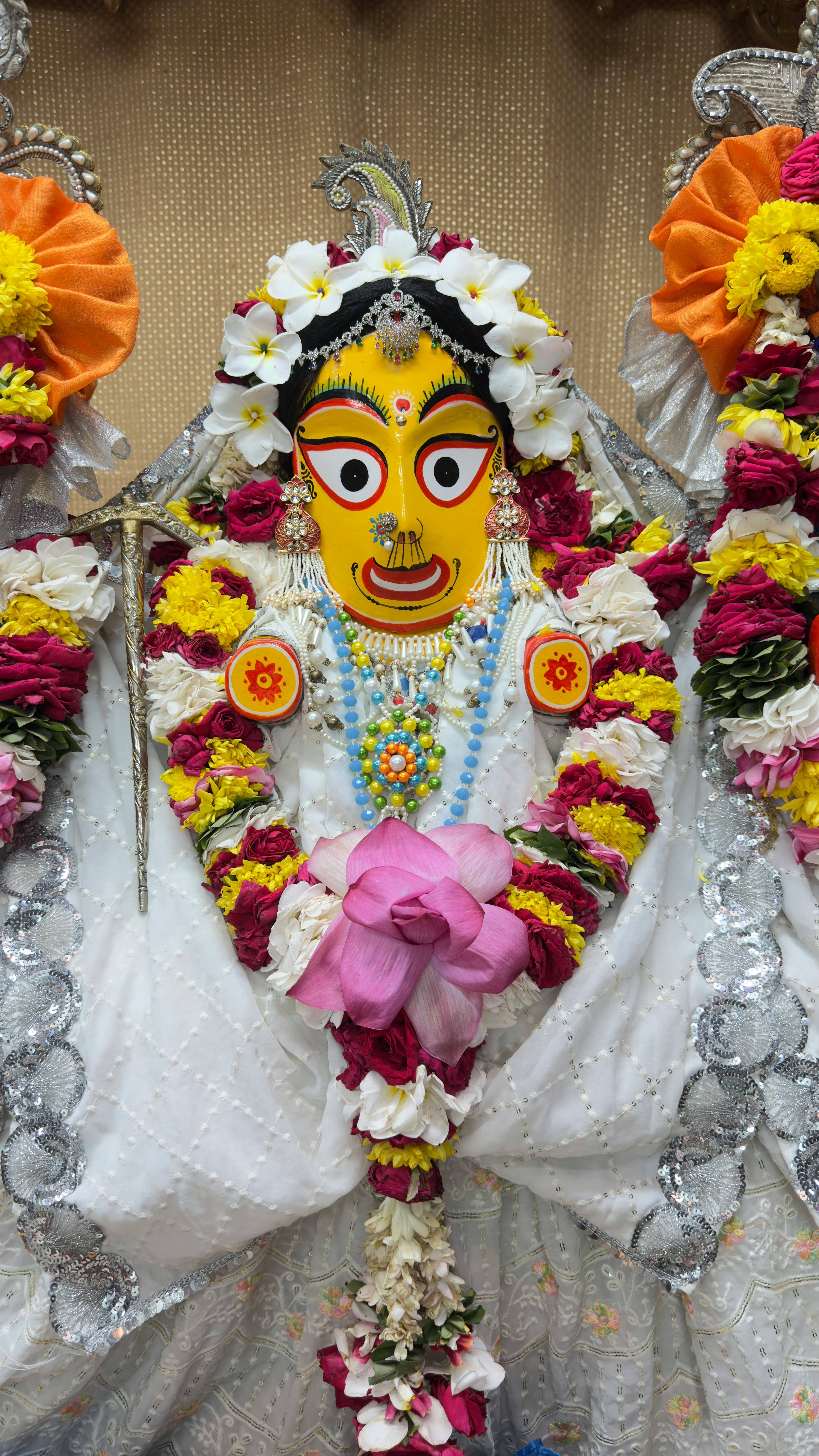 Indian Flare Face Photos, Download The BEST Free Indian Flare Face ...