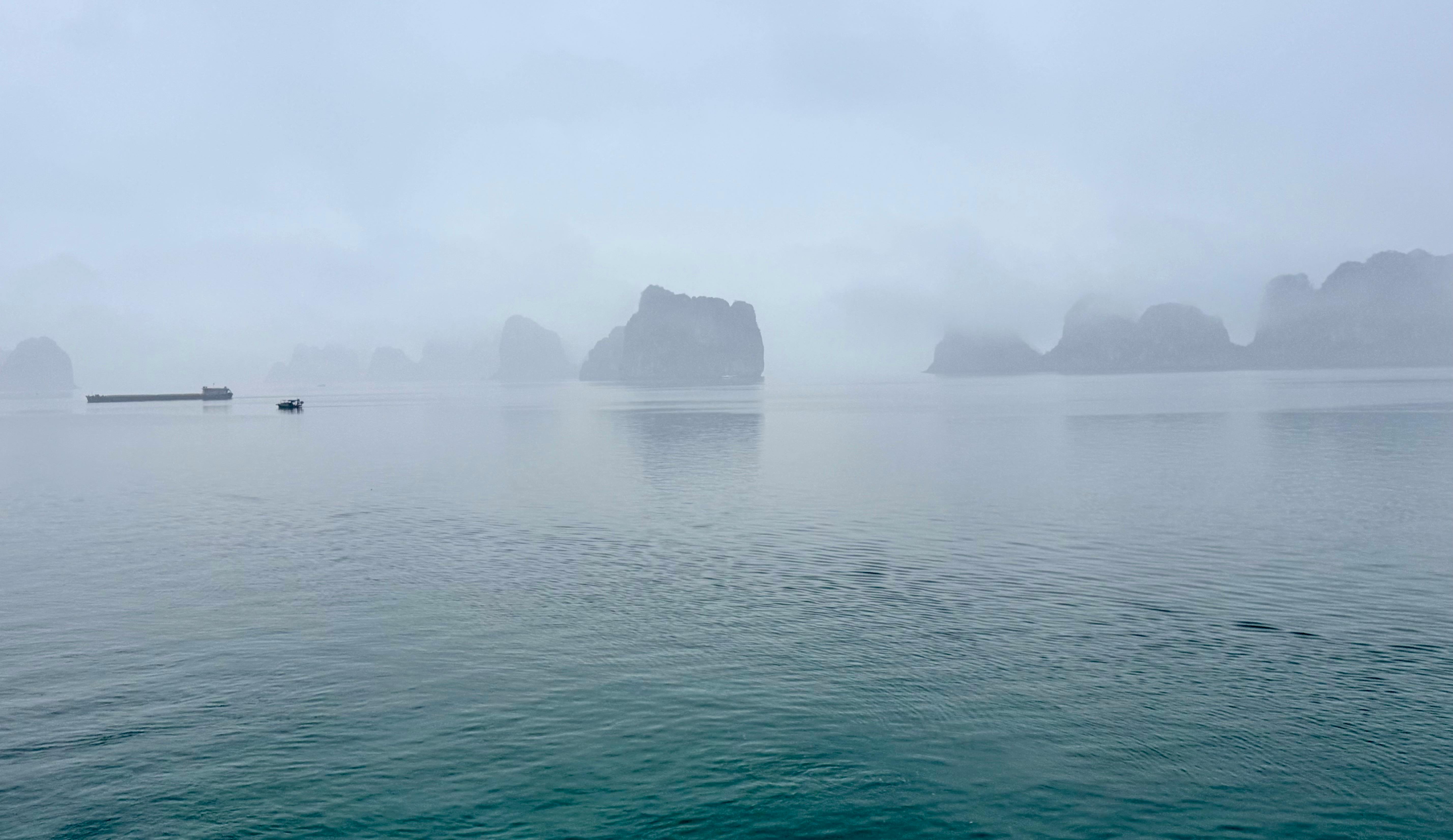 Ha Long Bay Animals Photos, Download The BEST Free Ha Long Bay Animals ...