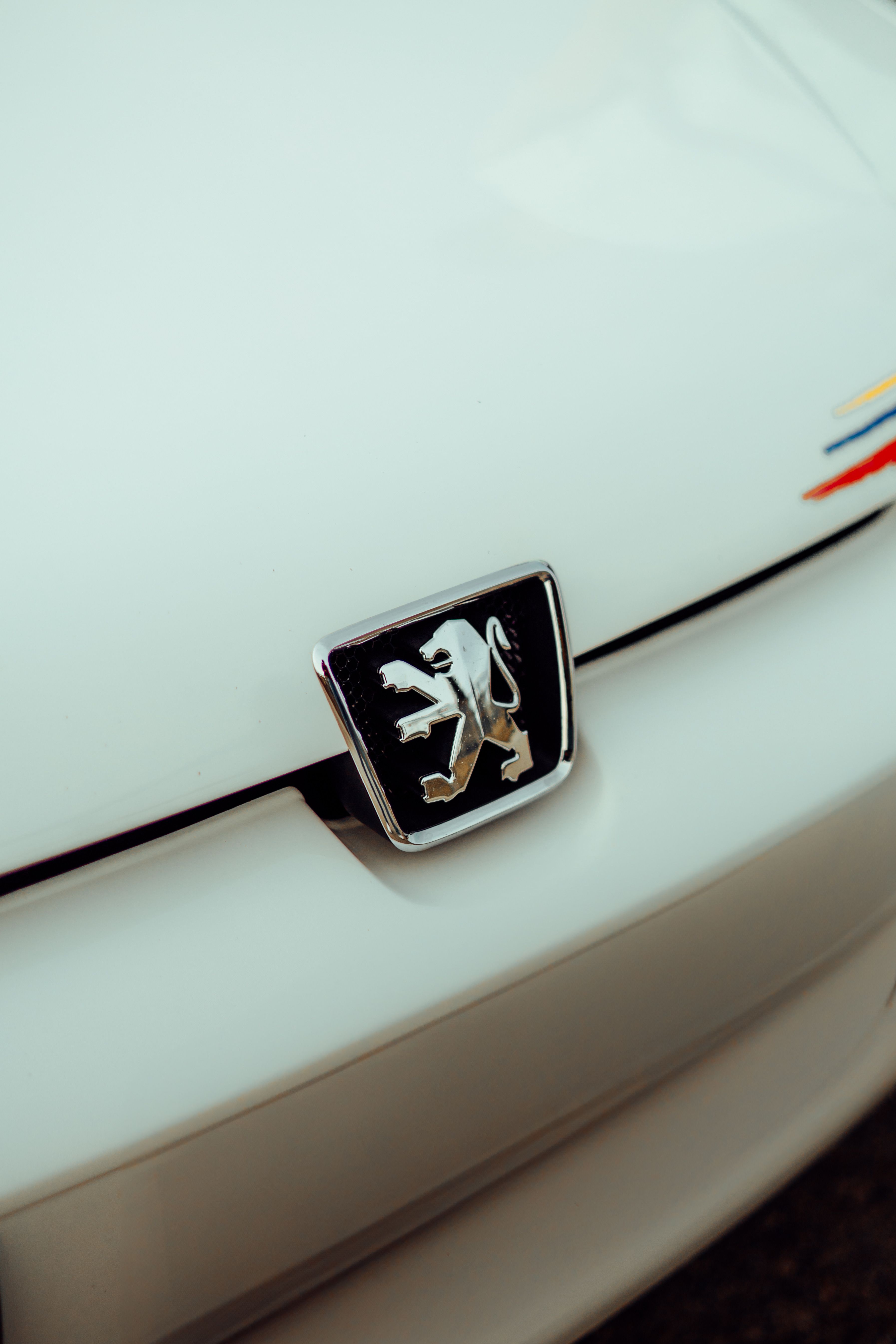 Close-up of Car Badge on White Vehicle · Free Stock Photo