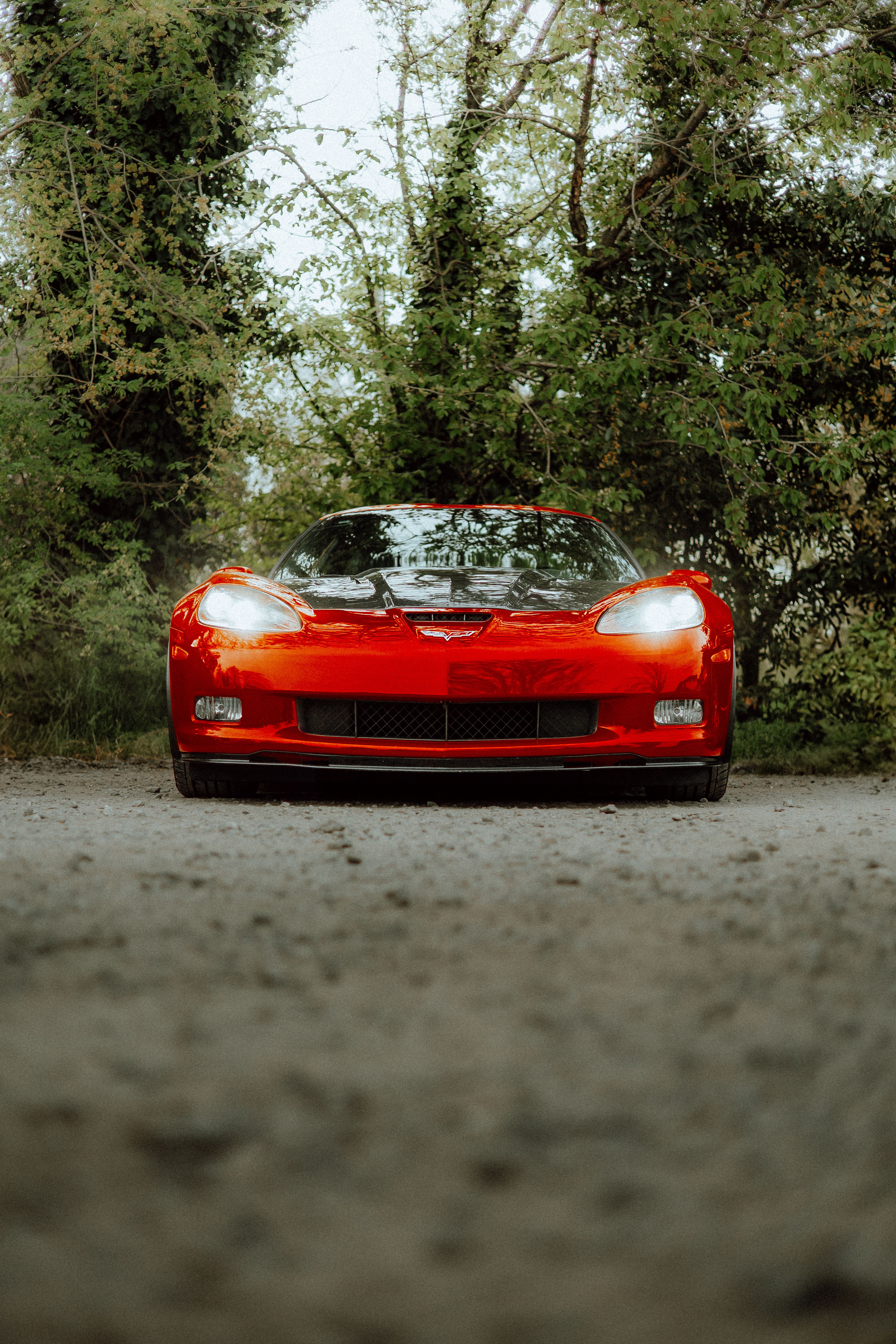 Vibrant Red Sports Car in a Natural Setting · Free Stock Photo