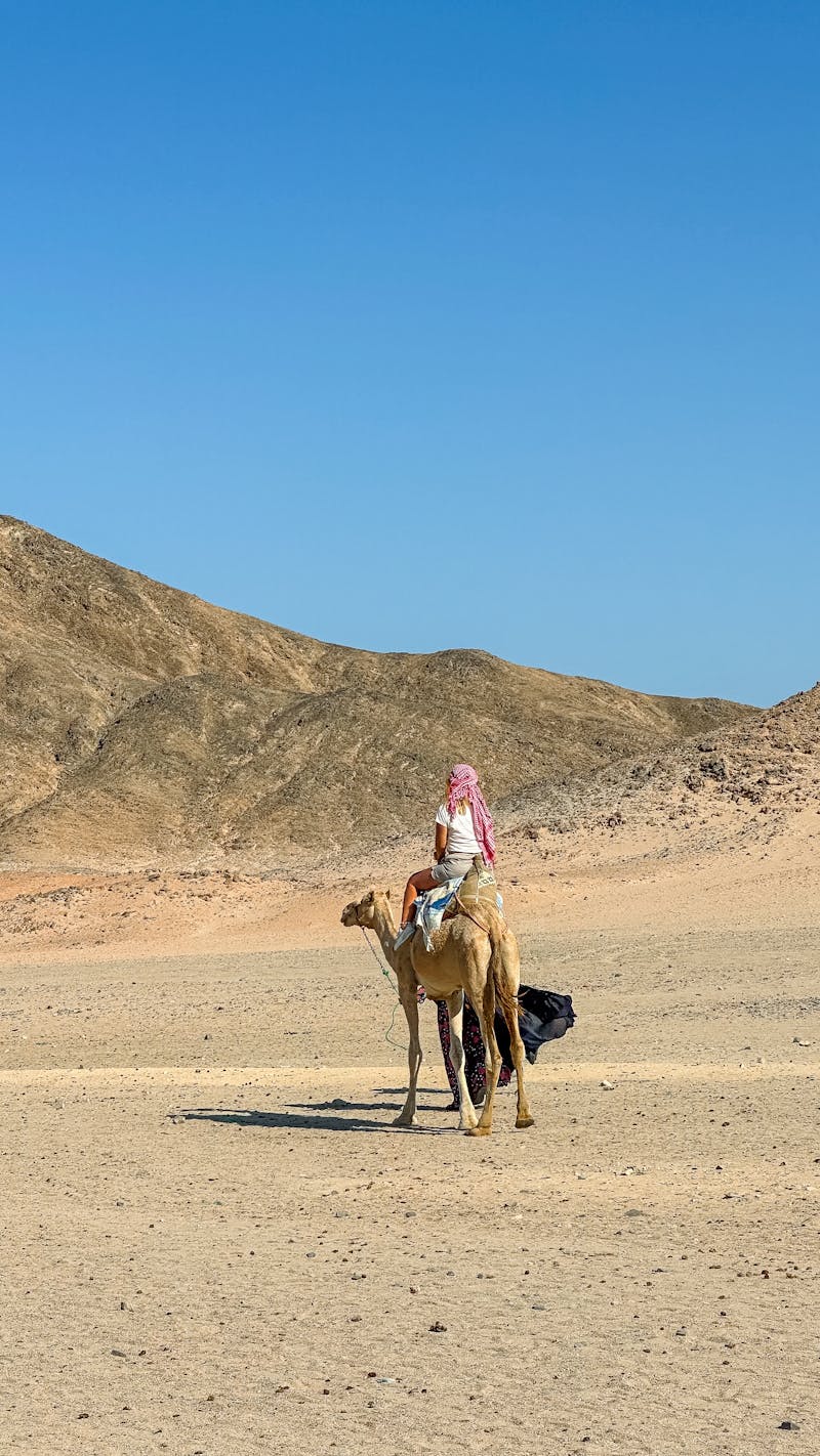 Land Chut Photos, Download The BEST Free Land Chut Stock Photos & HD Images