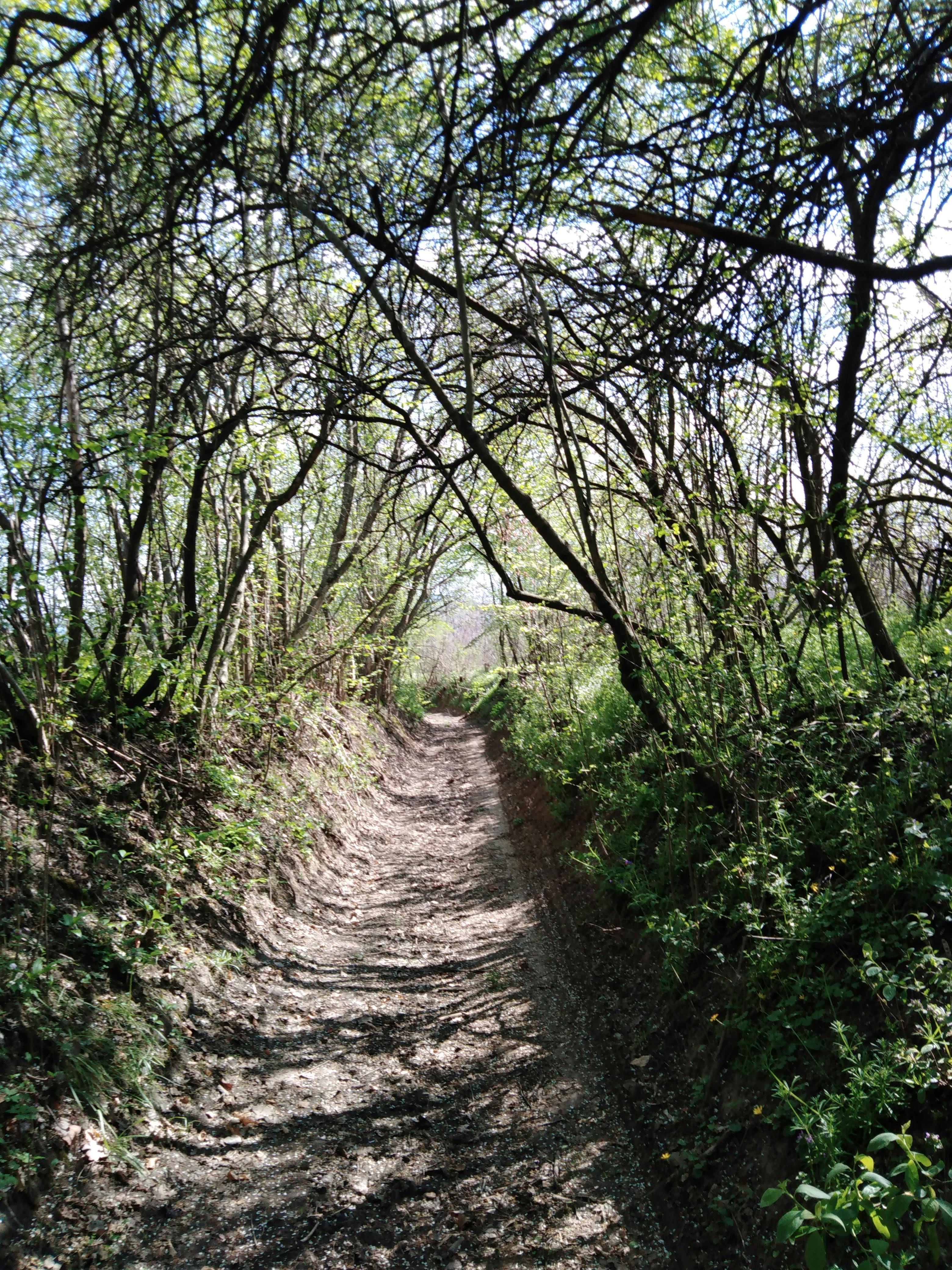 Hiking Pathway Photos, Download The BEST Free Hiking Pathway Stock ...