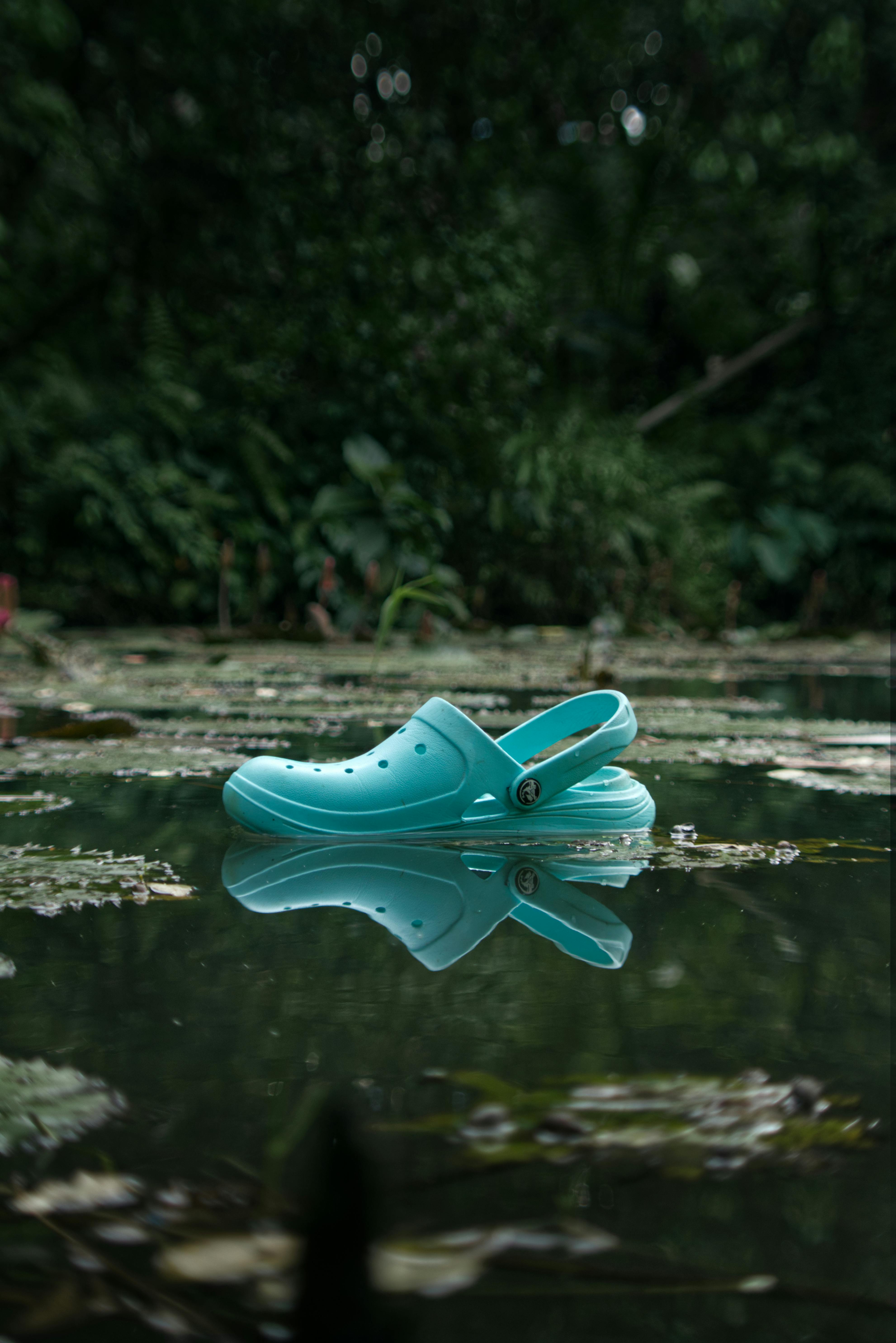 Floating Shoe in Green Swamp Water Reflection · Free Stock Photo