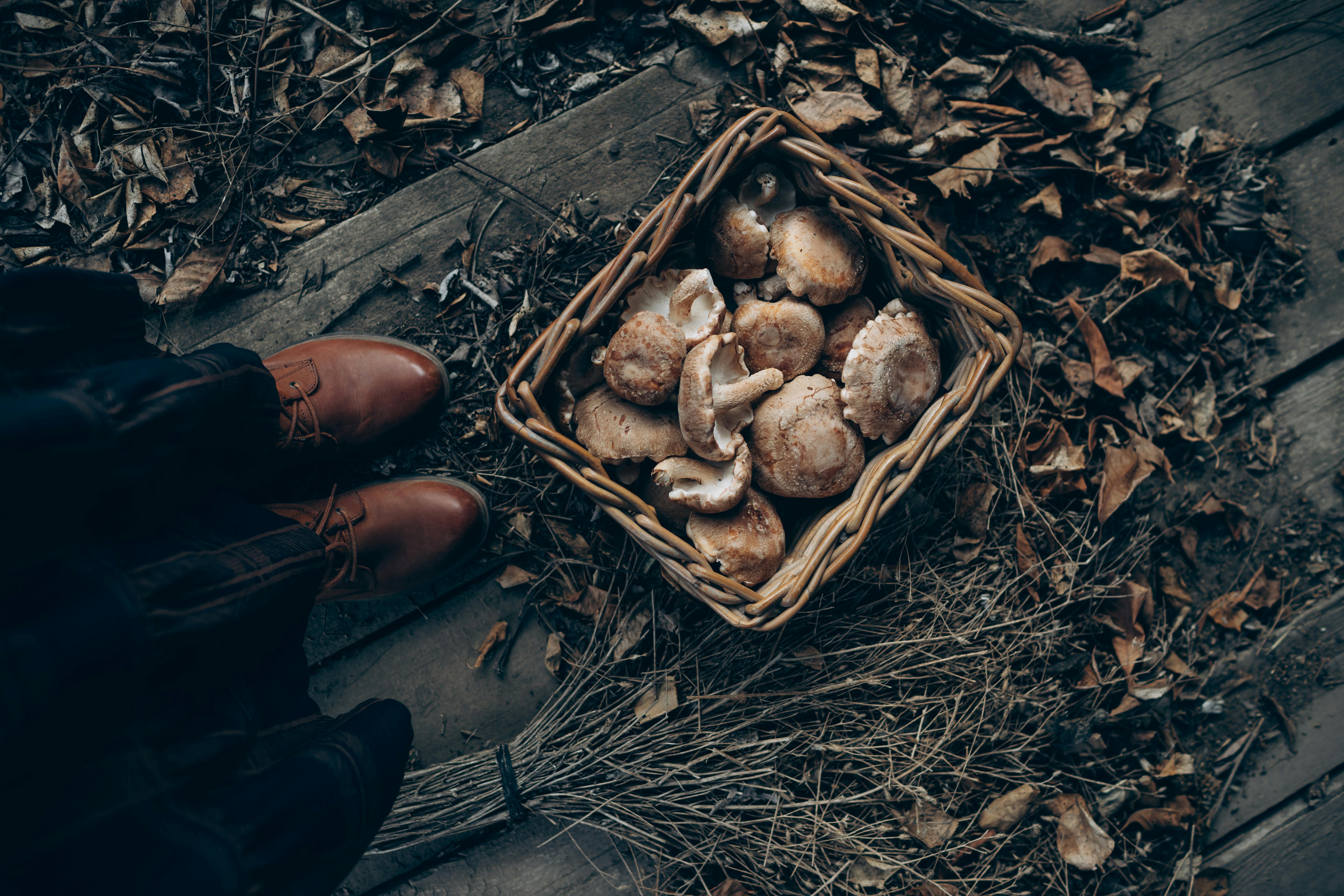 Bible Beige Color Photos, Download The BEST Free Bible Beige Color ...