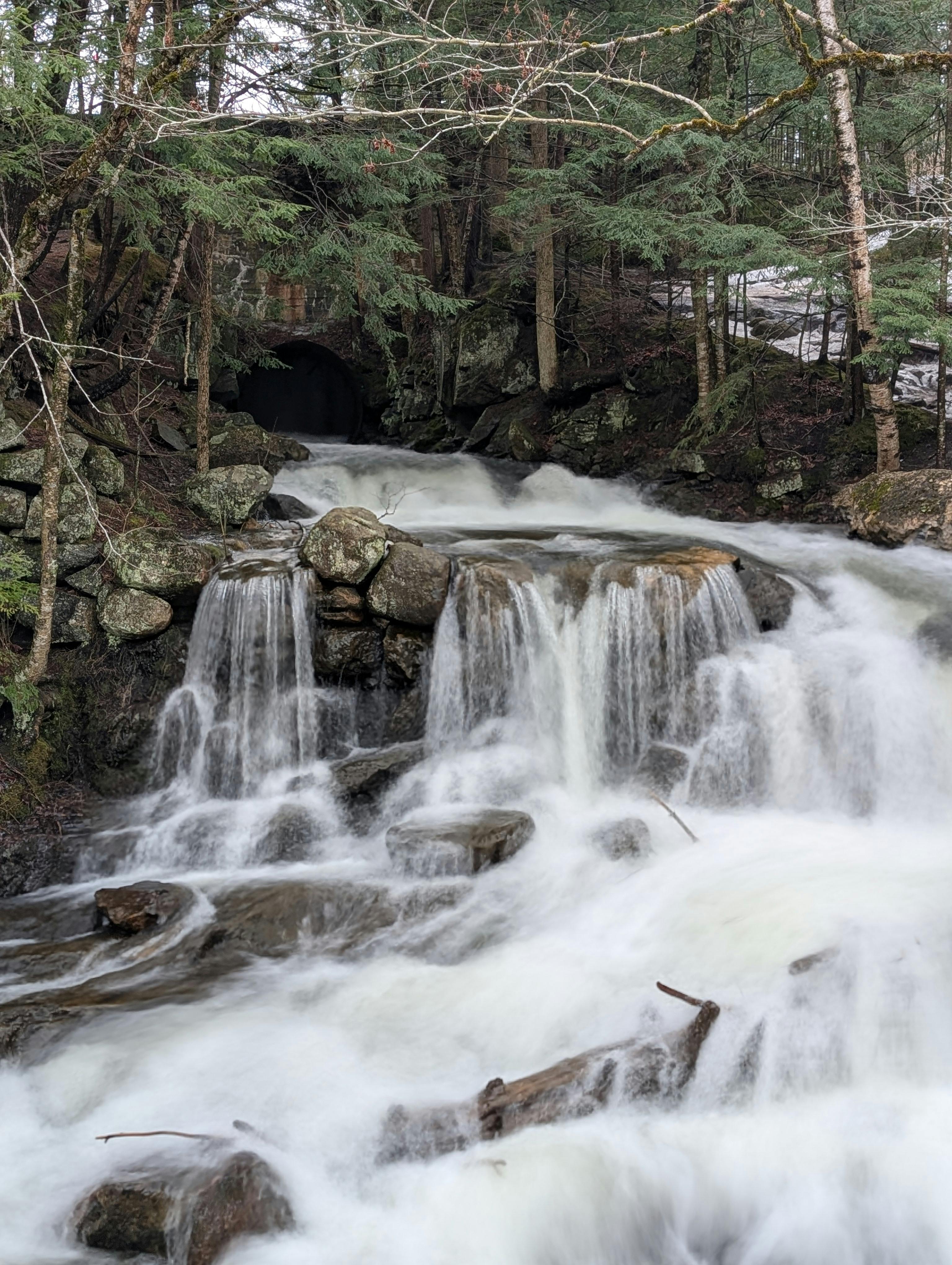 Serene Waterfall in Temperate Forest Setting · Free Stock Photo