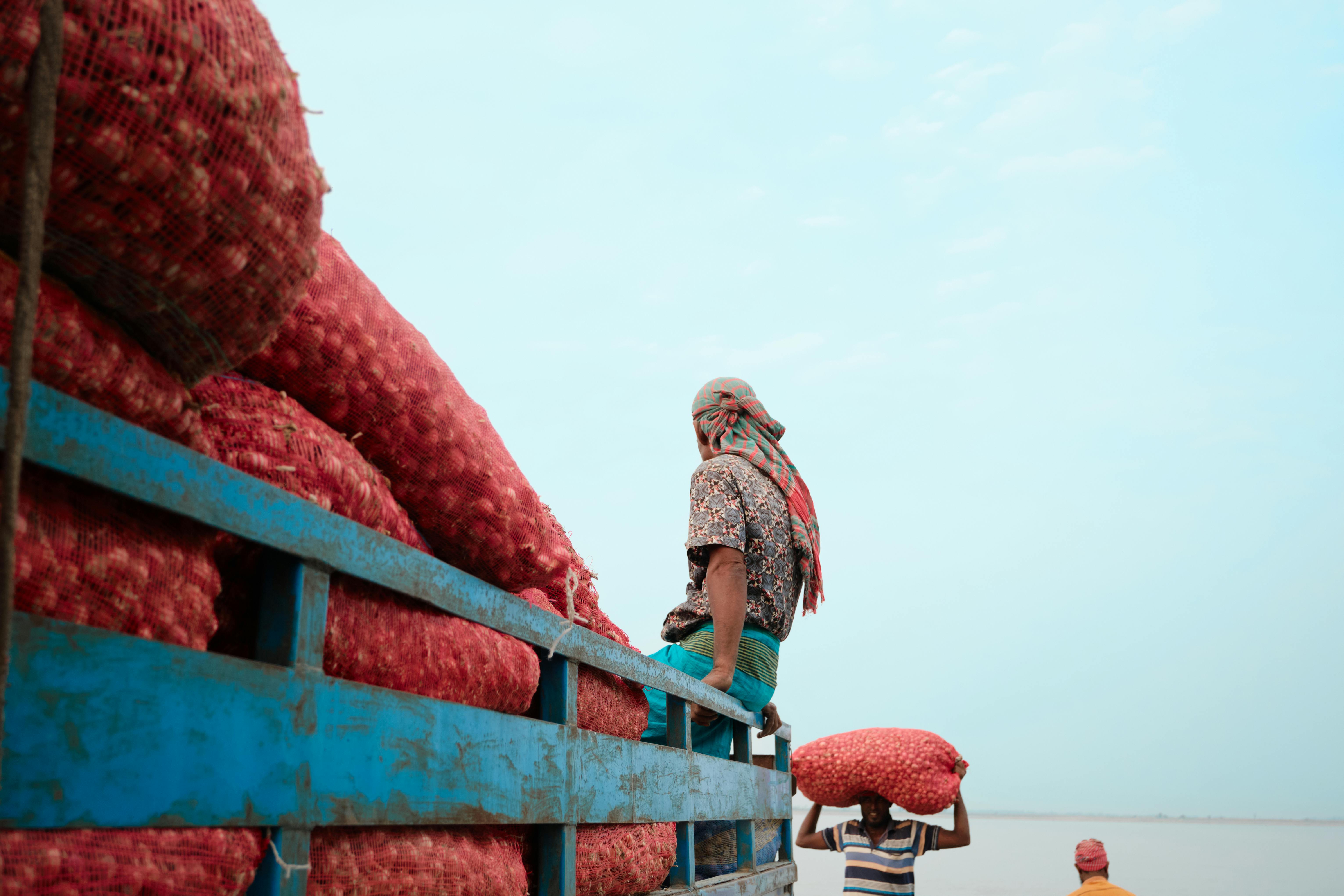 Onion Transport at Dockside in Bangladesh · Free Stock Photo