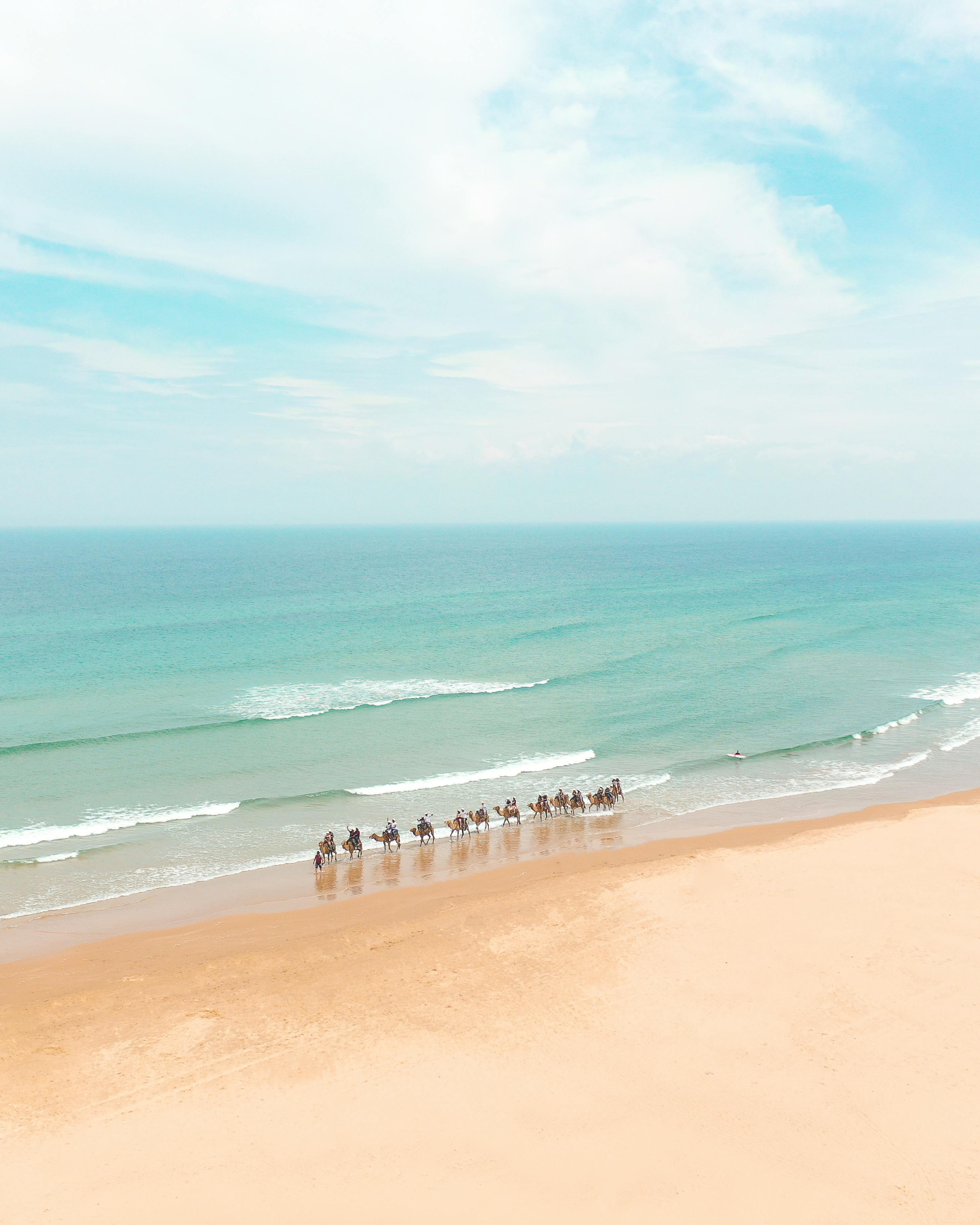 People Fishing on Beach · Free Stock Photo